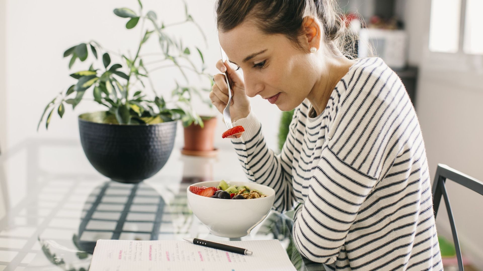 Le chicon, un légume d’hiver aux nombreux bienfaits pour la santé ...