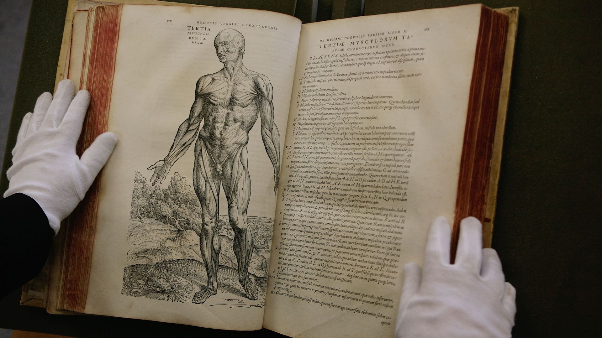 La KU Leuven célèbre le retour du traité d'anatomie 'Fabrica' de Vésale ...