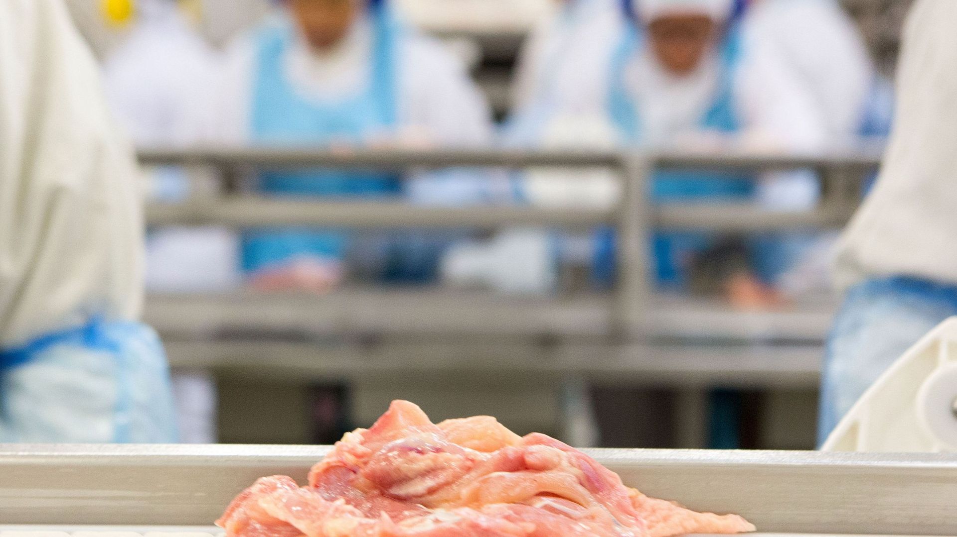 Oeufs contaminés: les Pays-Bas testent également la viande de poulet ...