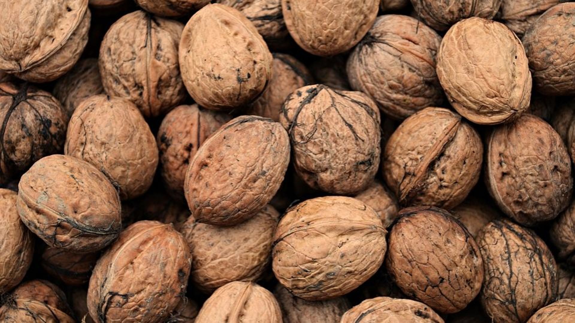 Comment reconnaître une bonne noix ? - RTBF Actus