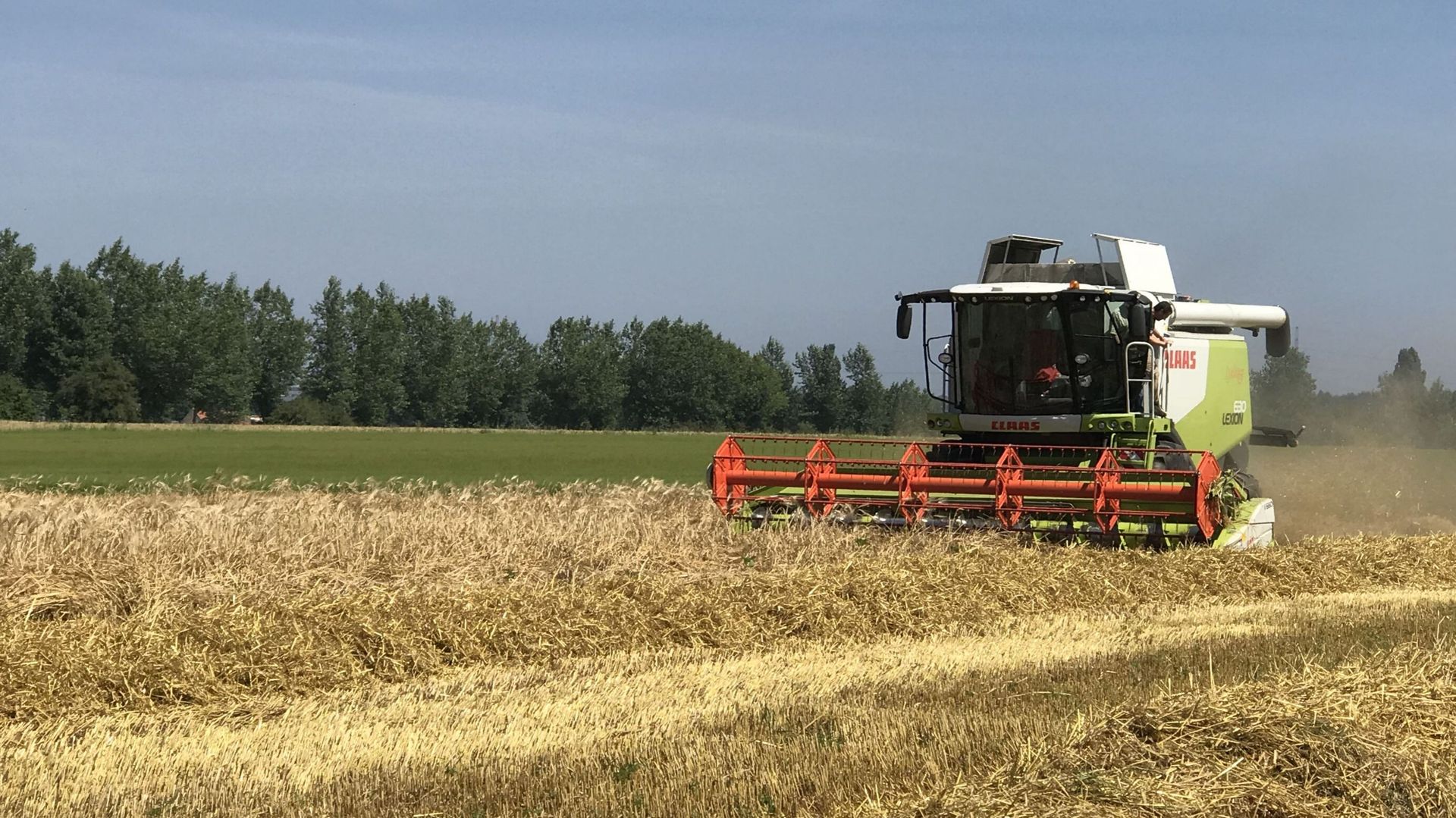 La moisson démarre plus tôt que prévu - RTBF Actus