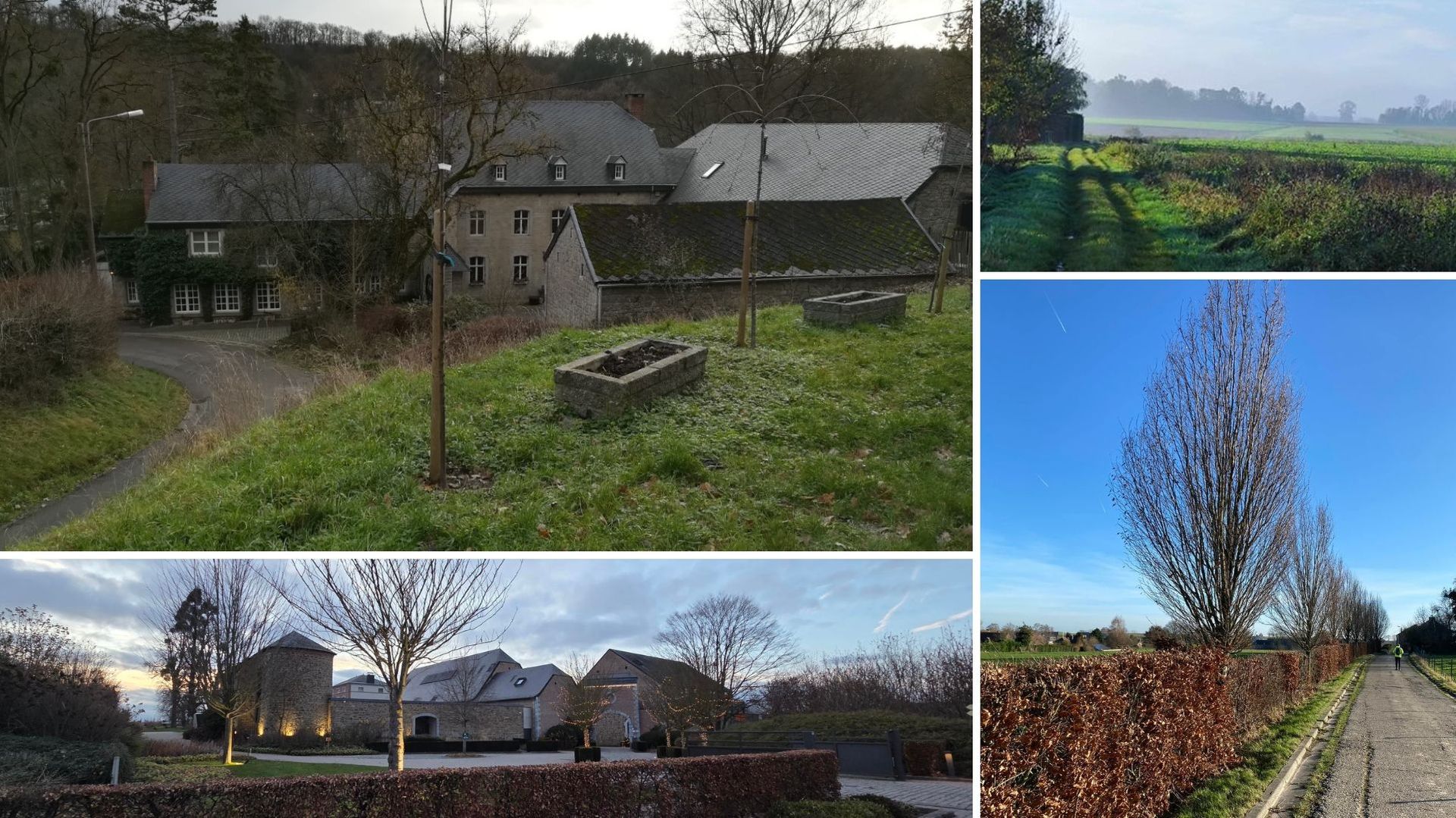 Les 4 marches Adeps du dimanche 14 décembre en Wallonie - RTBF Actus