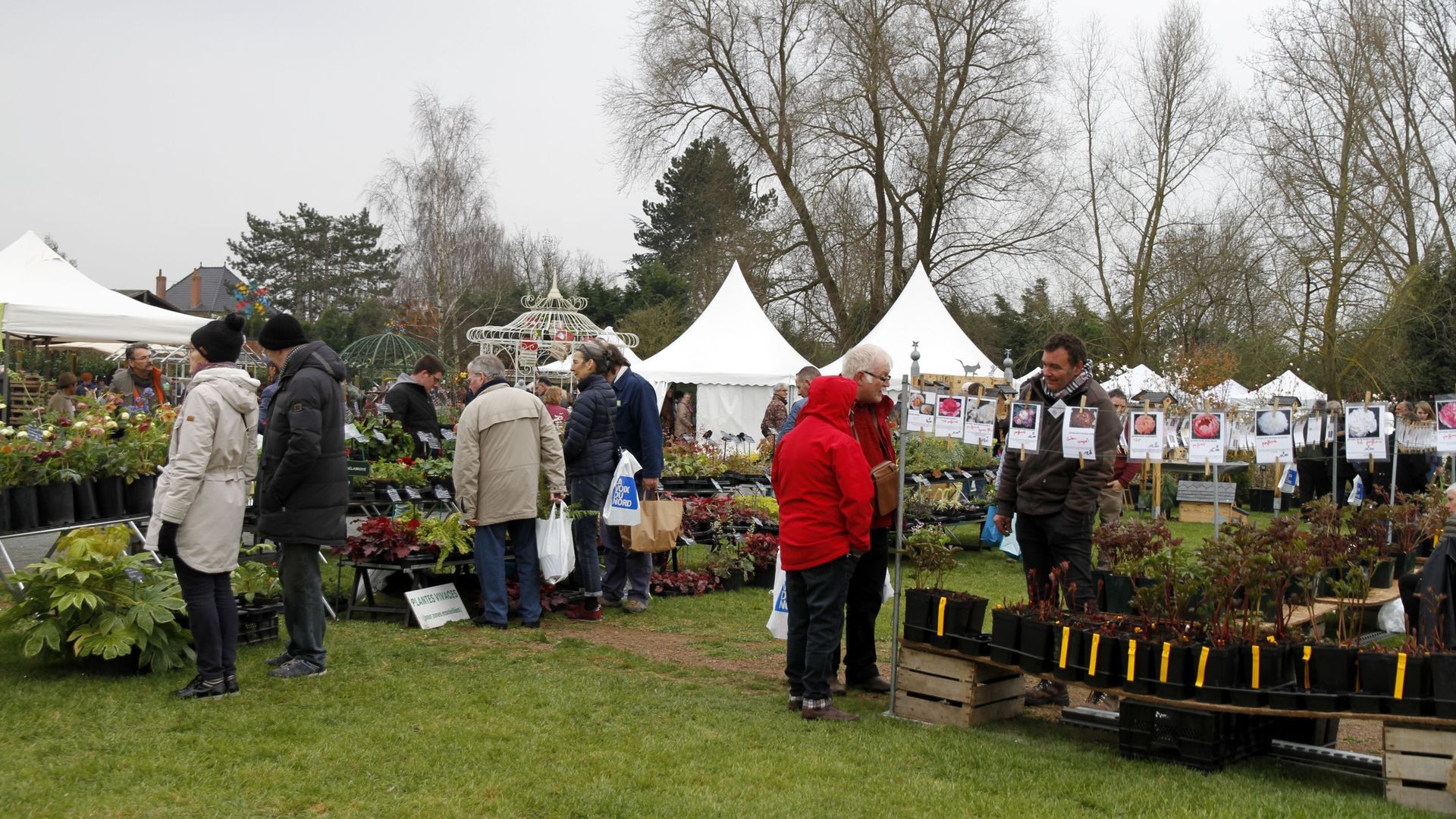 La Fête des plantes de Locon célébrera ces 18 et 19 mars le mariage des ...