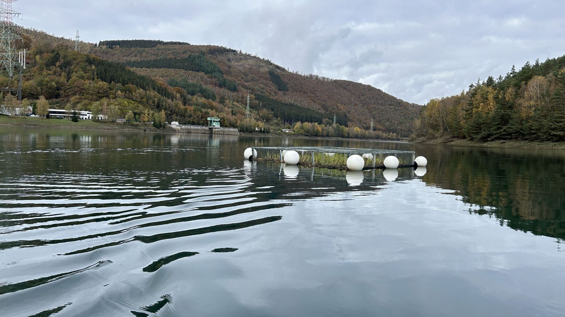 Deux radeaux pour améliorer la biodiversité au lac inférieur de la ...