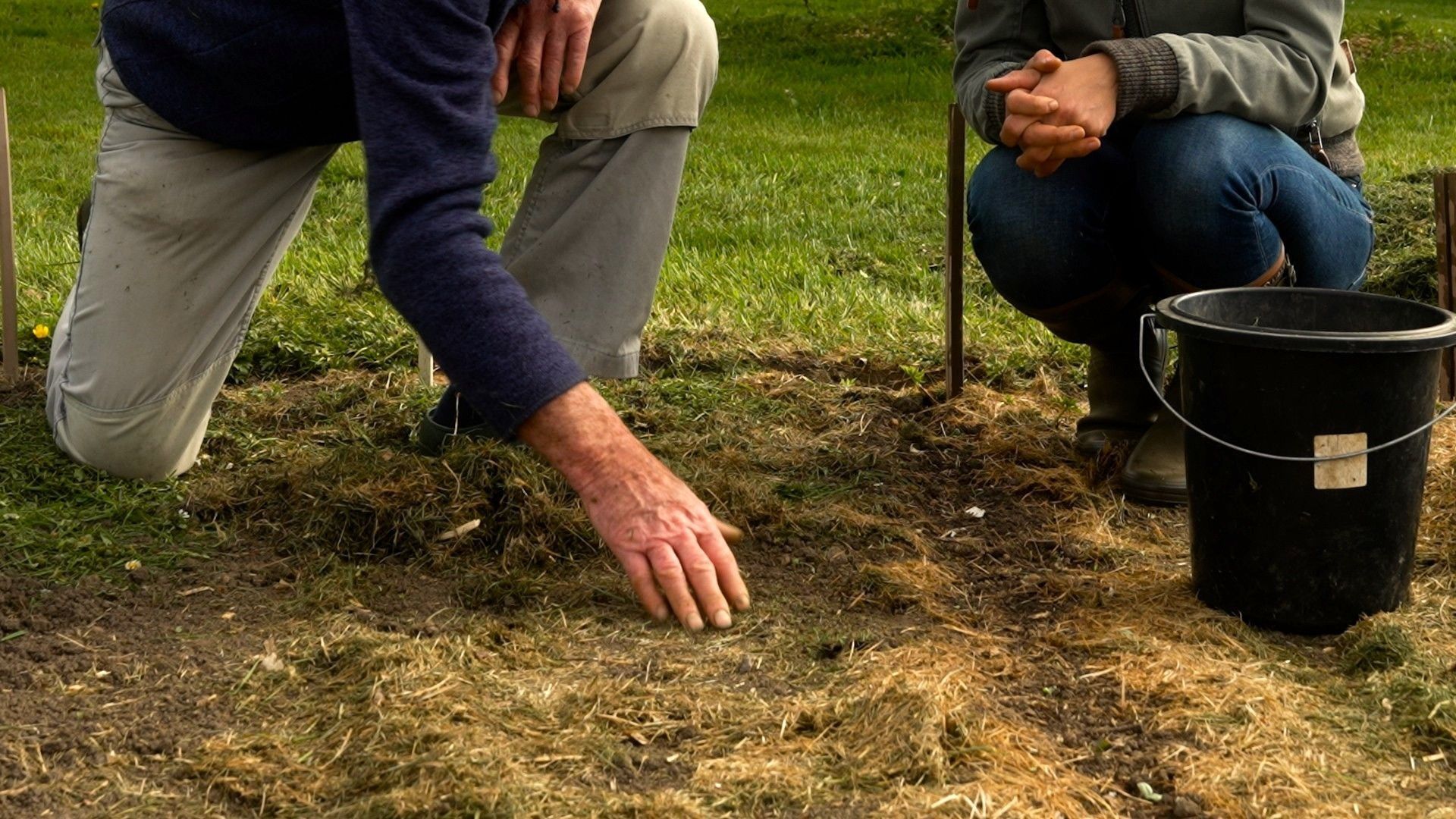 Couvrir le sol du potager : un geste simple aux grands effets - RTBF Actus