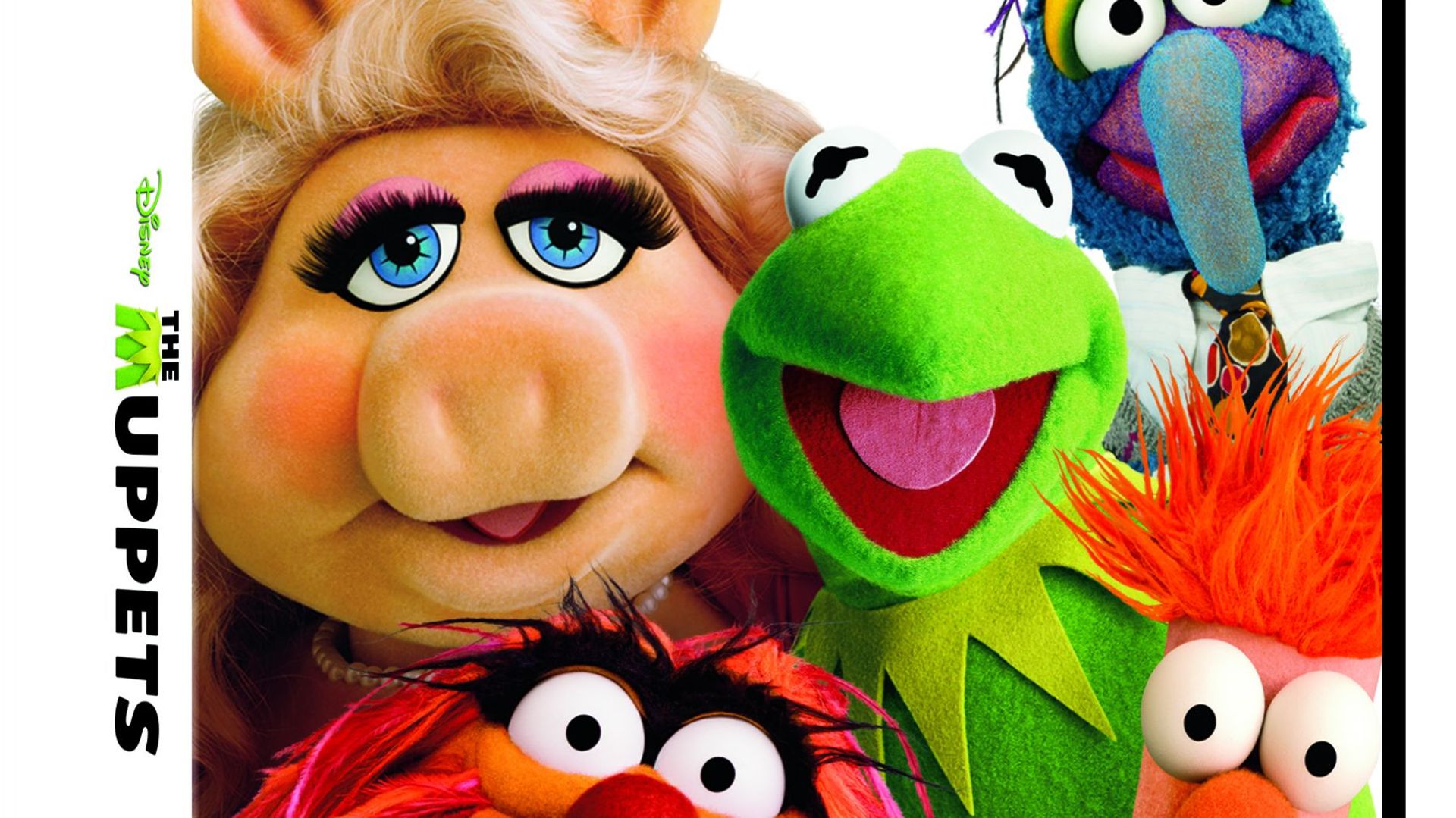 Les Muppets - RTBF Actus