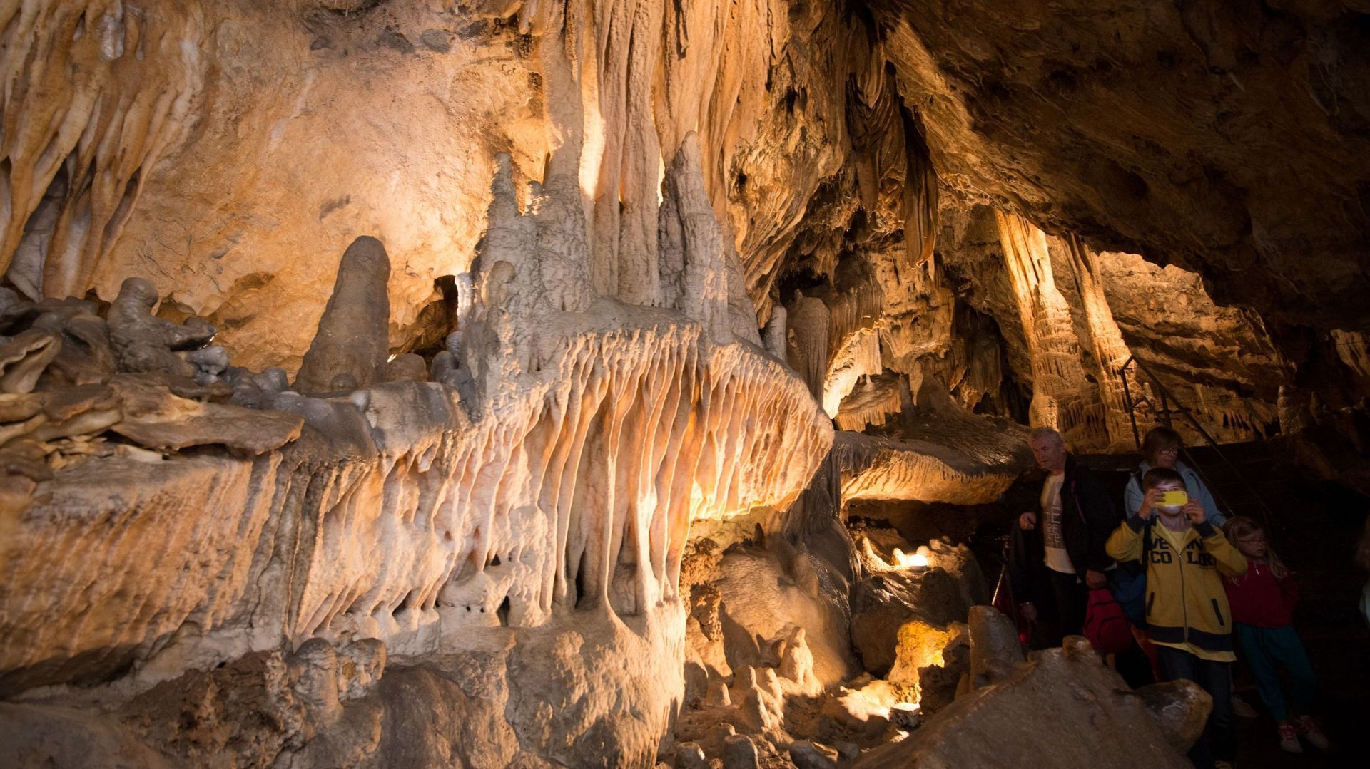 Blegny-Mine : un voyage immersif au cœur de l’histoire et de la nature ...