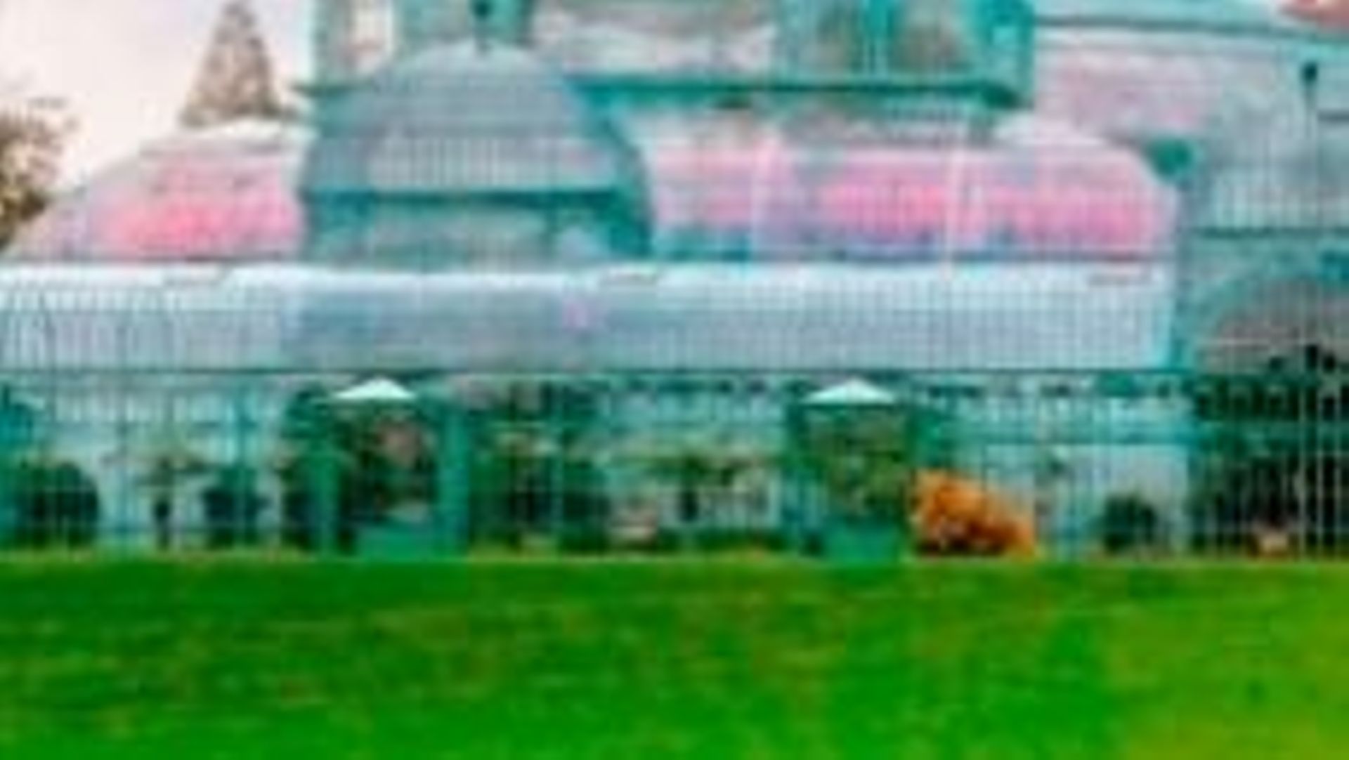 Alphonse Balat, l'architecte des serres de Laeken - RTBF Actus