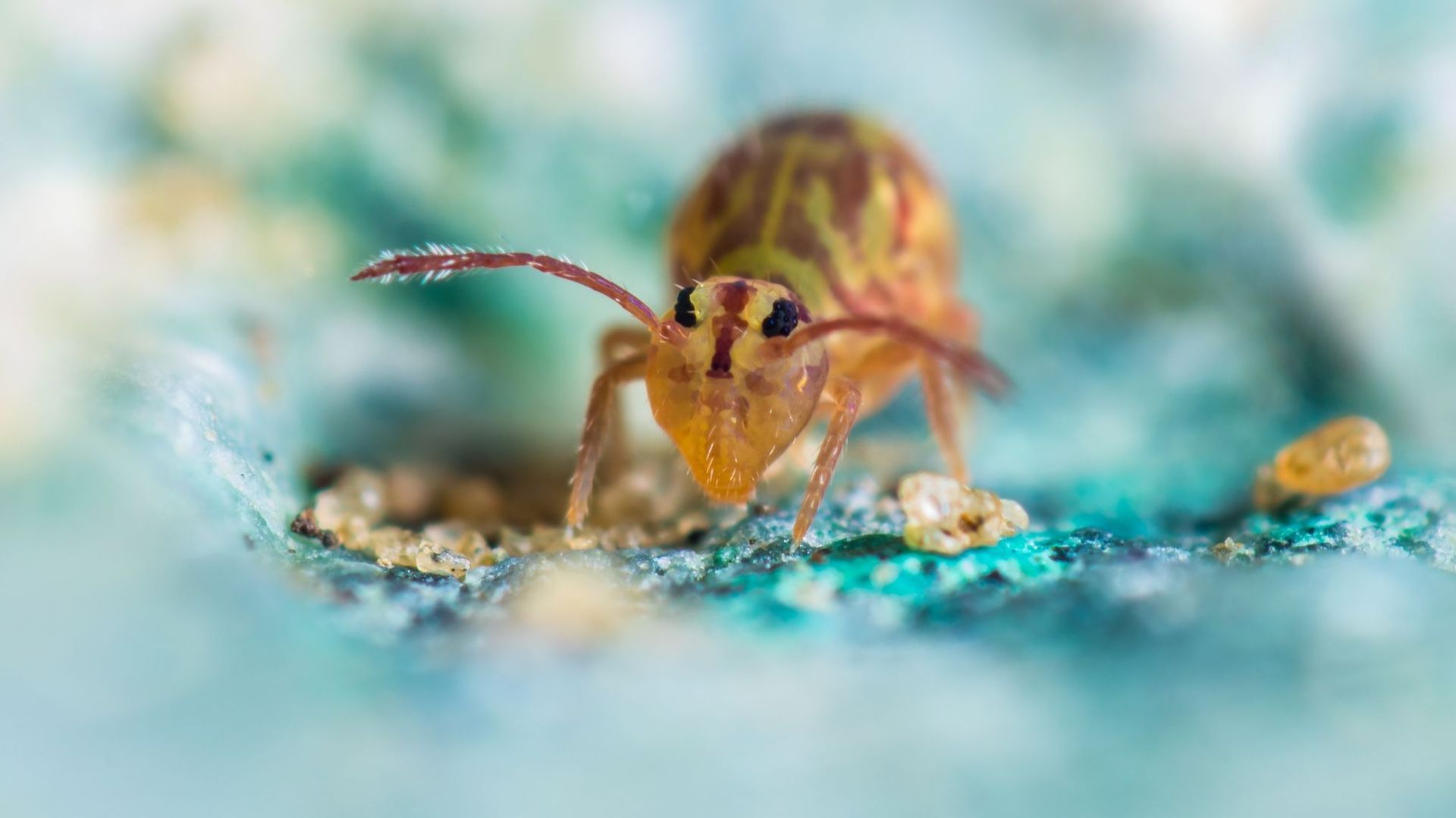 Jessica Riga nous partage son coup de foudre pour Lustin - RTBF Actus