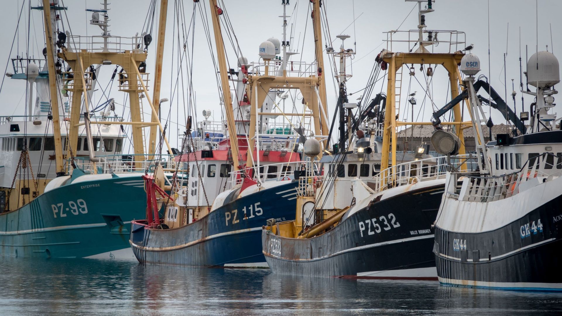 Loi du silence, poissons morts jetés à la mer : les dérives de la pêche ...