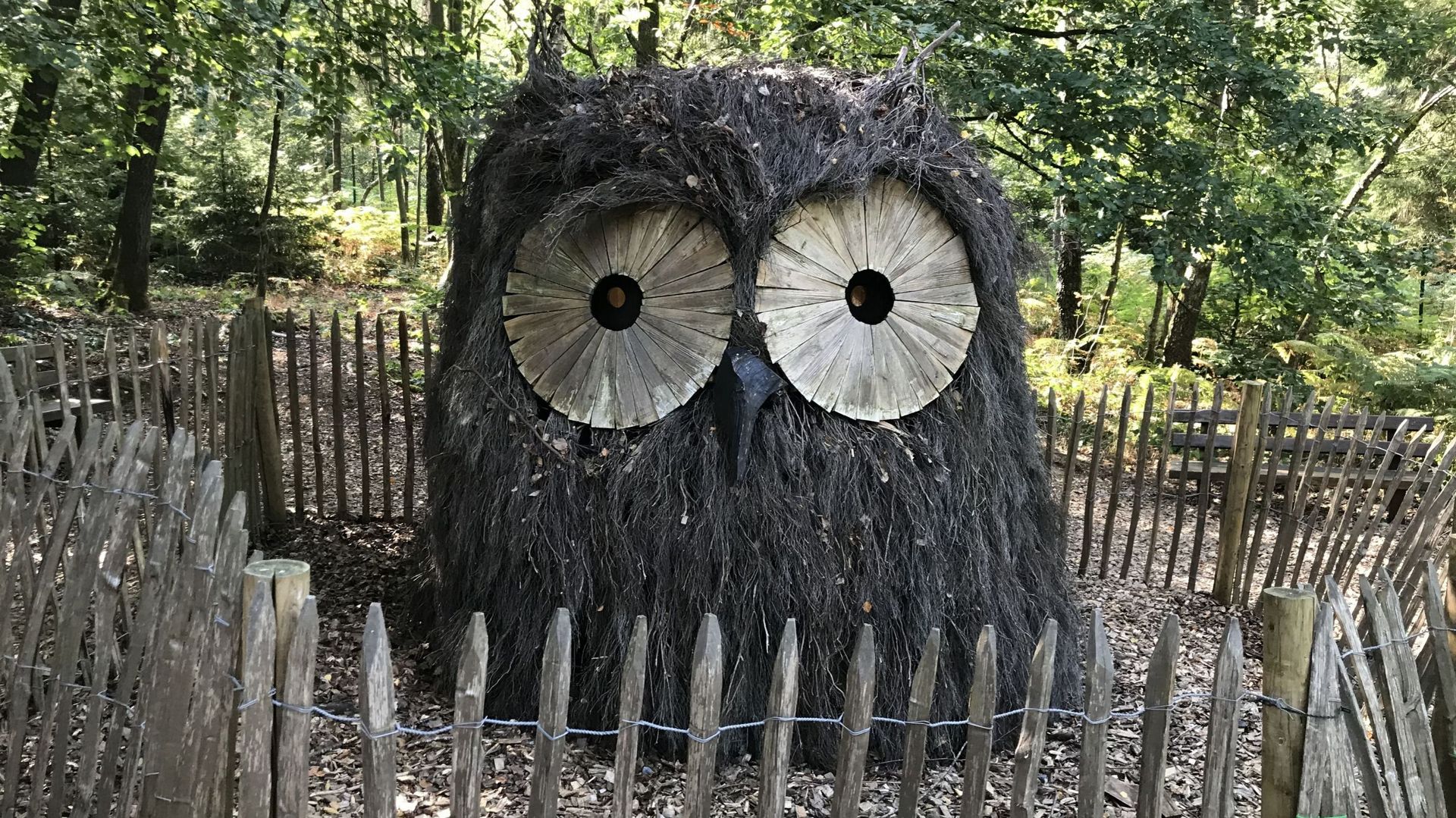 La commune de Manhay regorge de bonnes adresses ! - RTBF Actus