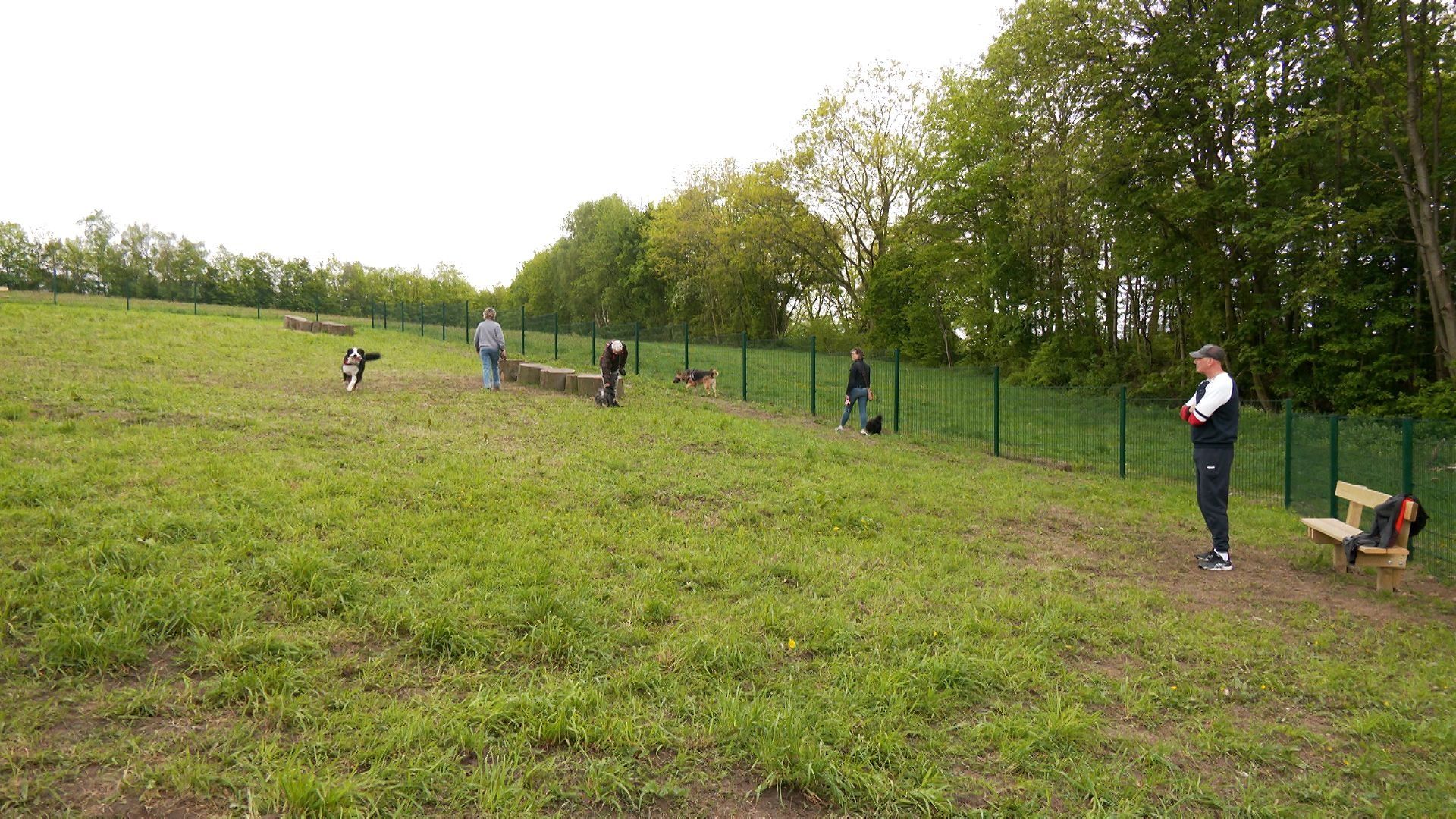 Un premier parc canin inauguré à Braine-l’Alleud - RTBF Actus