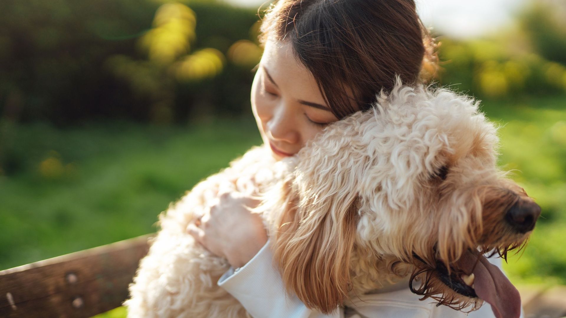 Les animaux, des 'êtres sensibles' dans la Constitution belge : qu'est ...