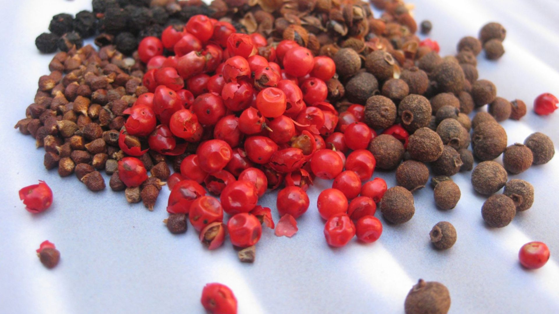 Le poivre, le très en vogue incontournable de la table - RTBF Actus