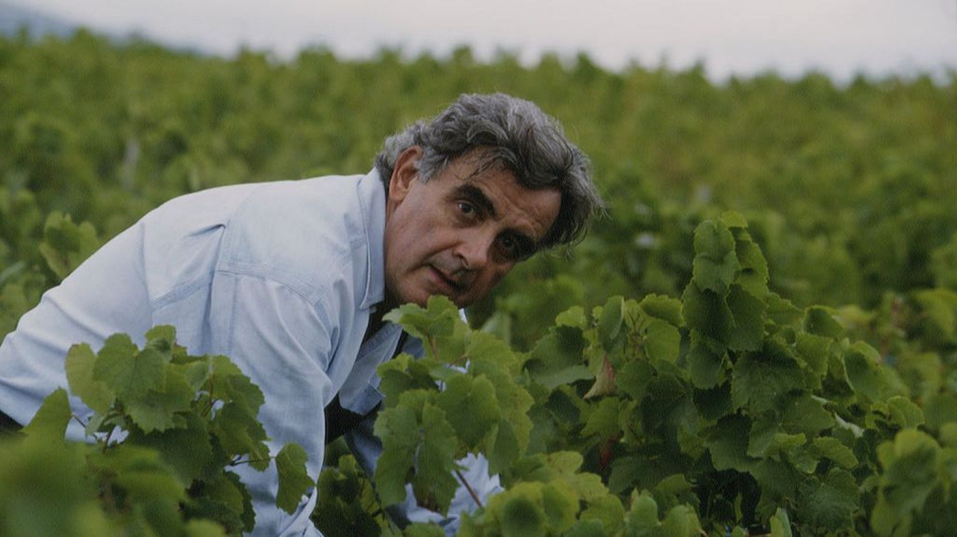 Caroline Dhôtel rend hommage à C. Jérôme, son père décédé il y a 25 ans ...