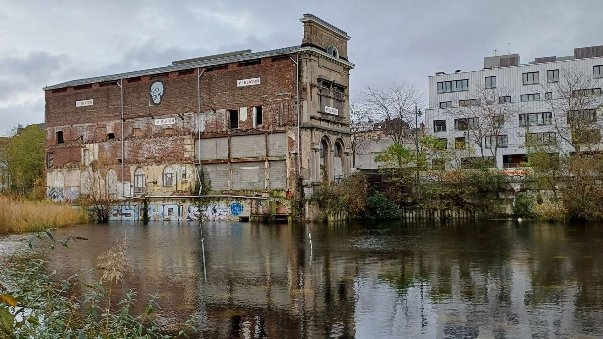 Forest : une partie du marais Wiels à présent reconnue comme plan d’eau ...