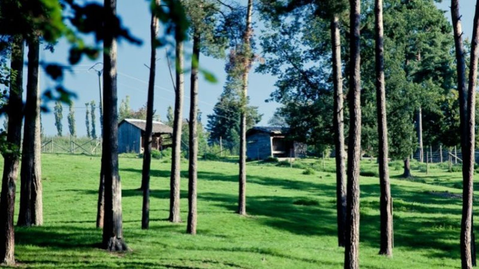 Il y aura bien des cabanes sur pilotis dans le parc Forestia à La Reid
