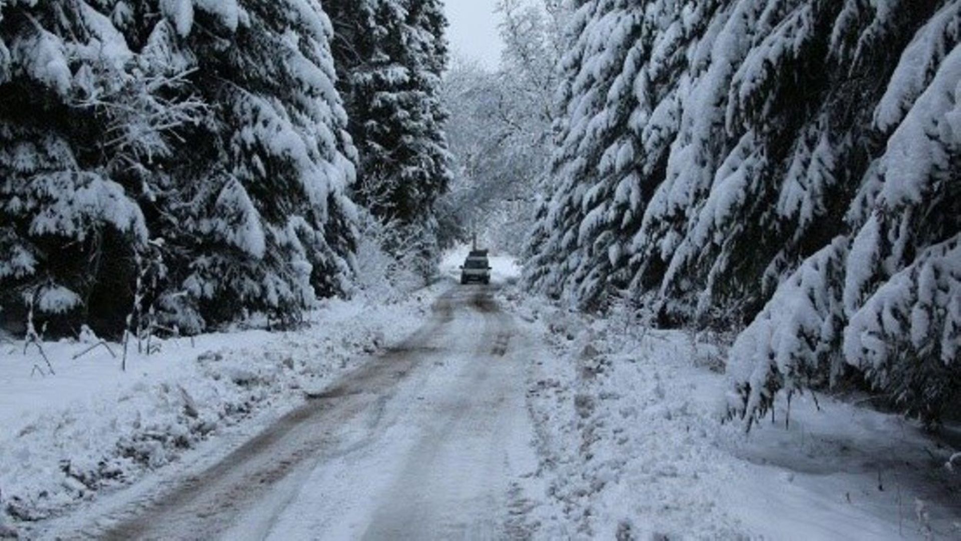 Marche de la Chandeleur à Libramont : direction la foret de Bonnance ...
