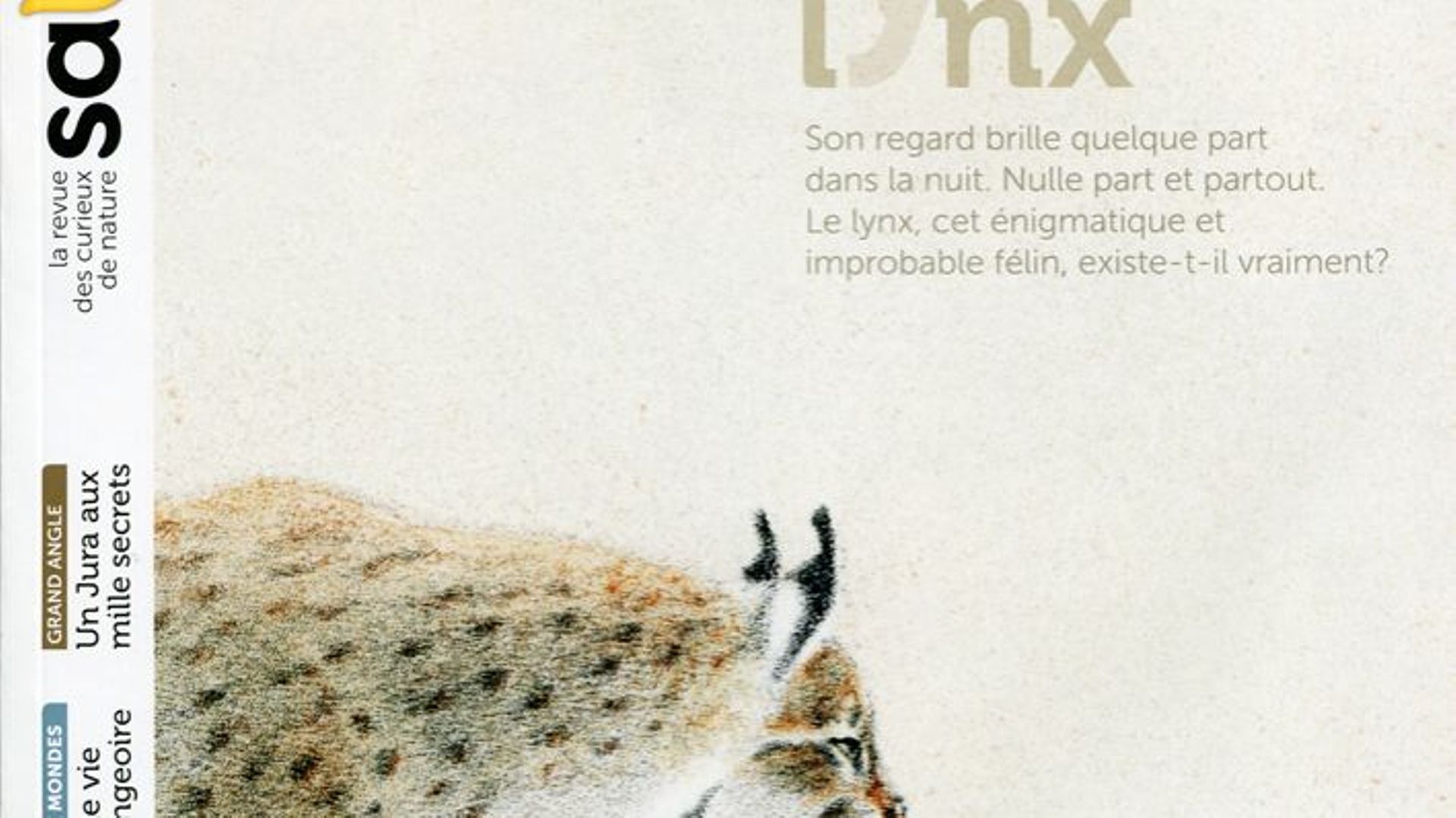Tout savoir sur le lynx