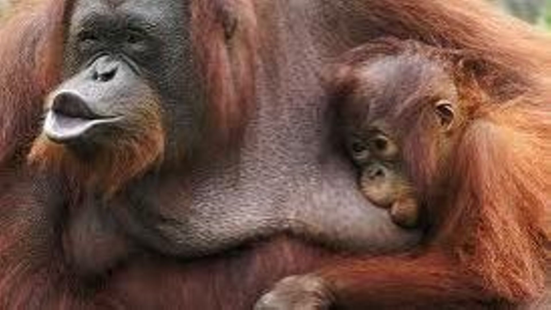 Ce samedi 23 novembre dans Bon week-end ! - rtbf.be