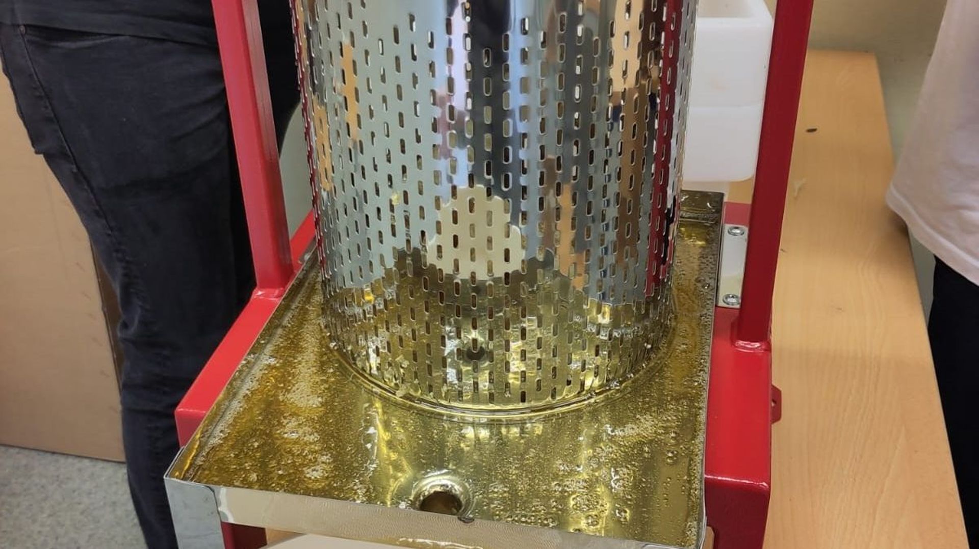 Matteo Magro et M.AGRO.BEE : Au service de la biodiversité - RTBF Actus