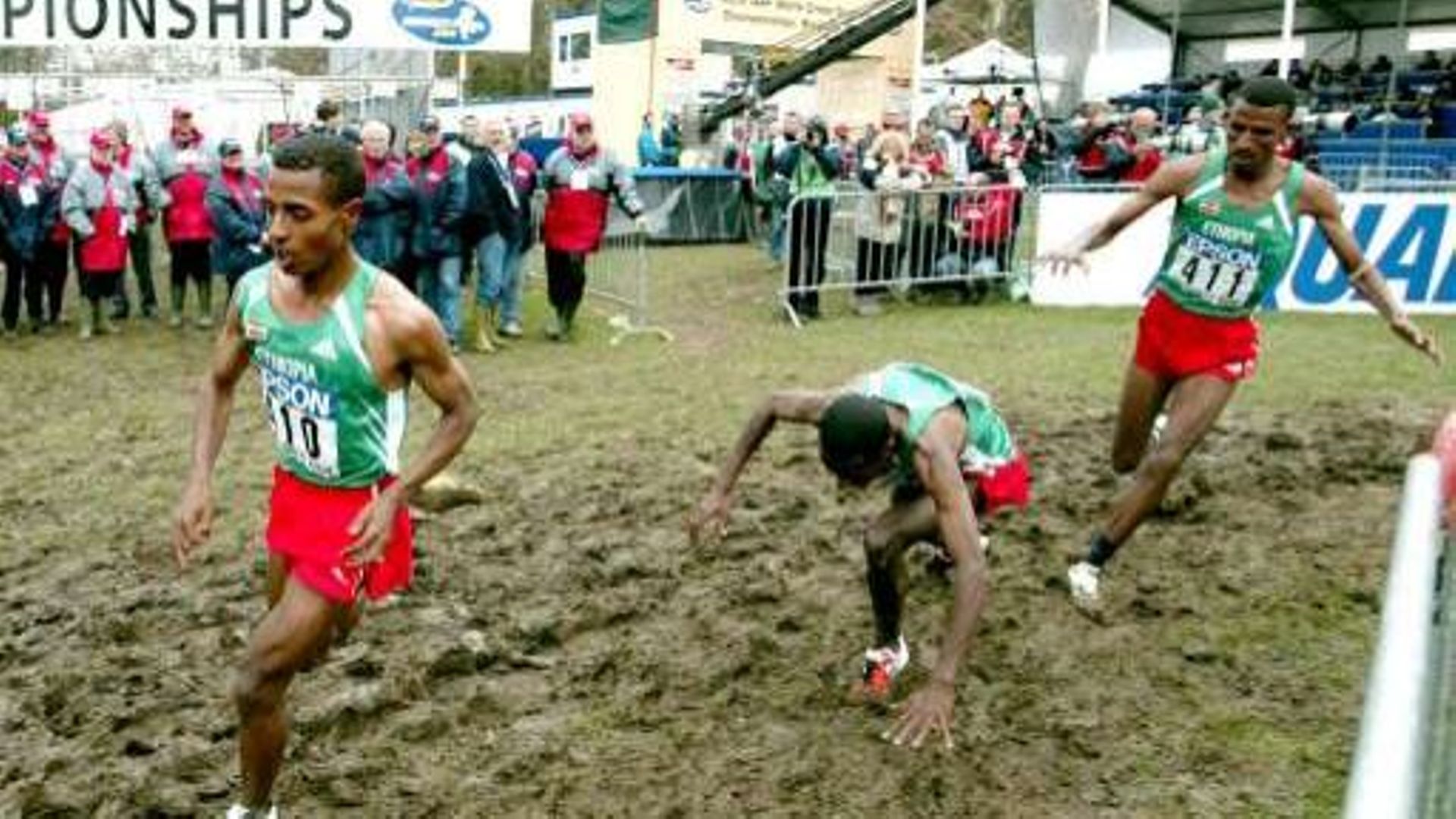 Bruxelles prêt pour l'Euro de cross - rtbf.be