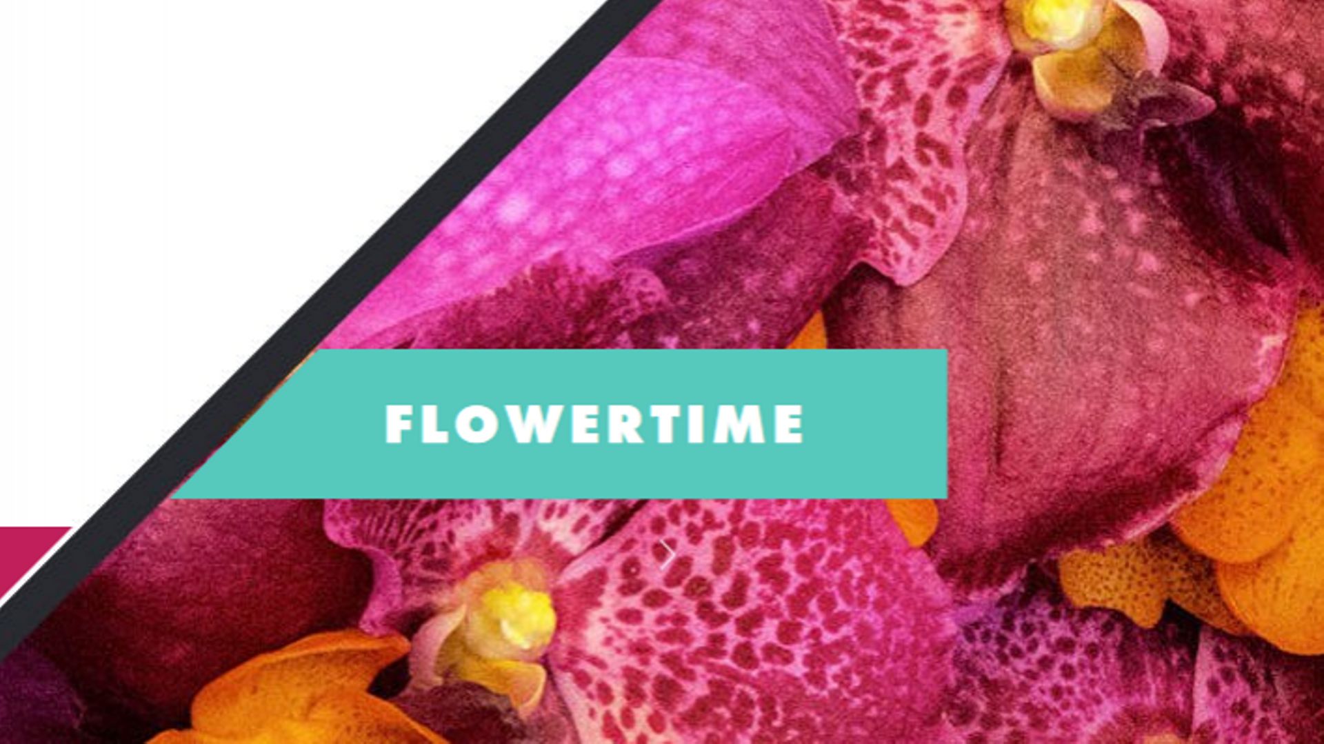 Bruxelles: le Flowertime se déclinera sur le thème de l'Italie baroque ...