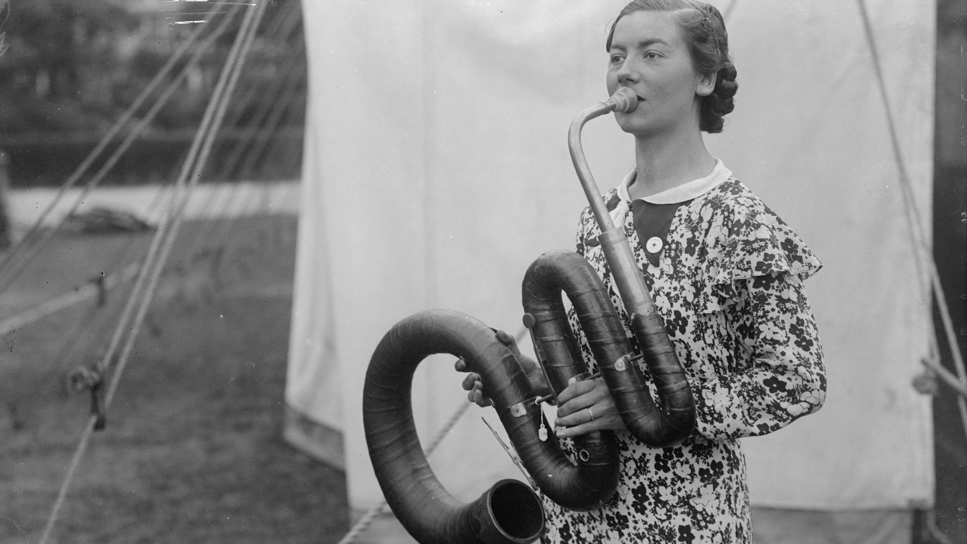 Le serpent, à la découverte de cet instrument ensorcelant - RTBF Actus