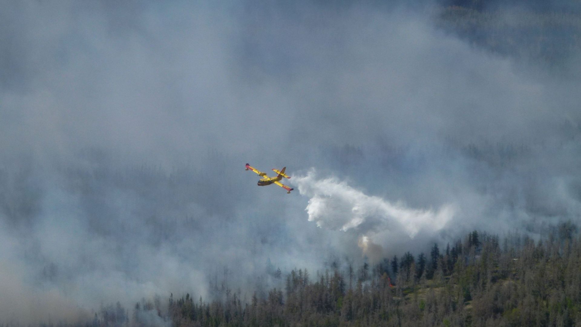 Incendies de forêt au Canada : la progression des mégafeux continue ...