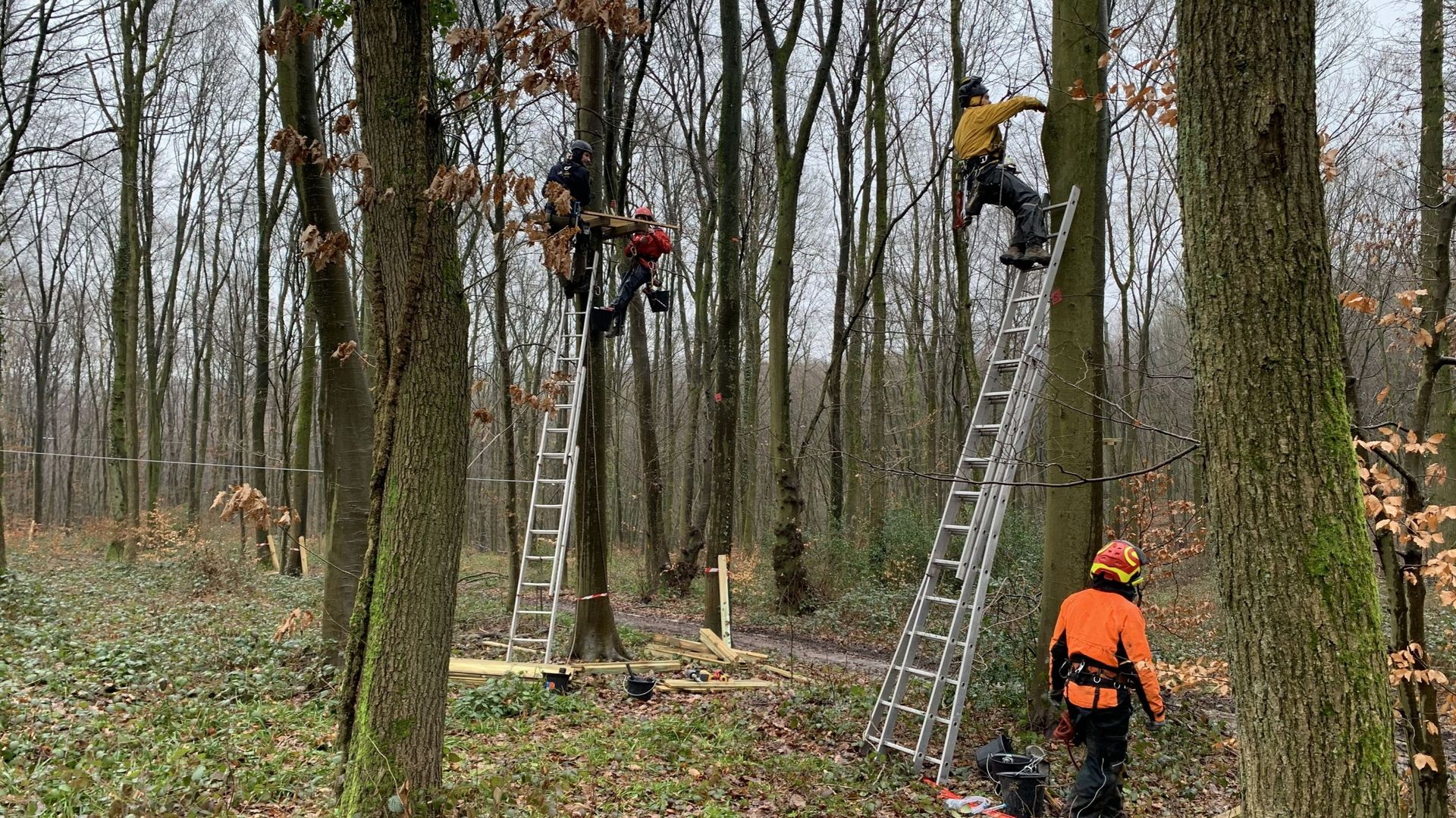 Marcinelle : Arboreo, le parc d’accrobranche, ouvrira le 30 mars - RTBF ...