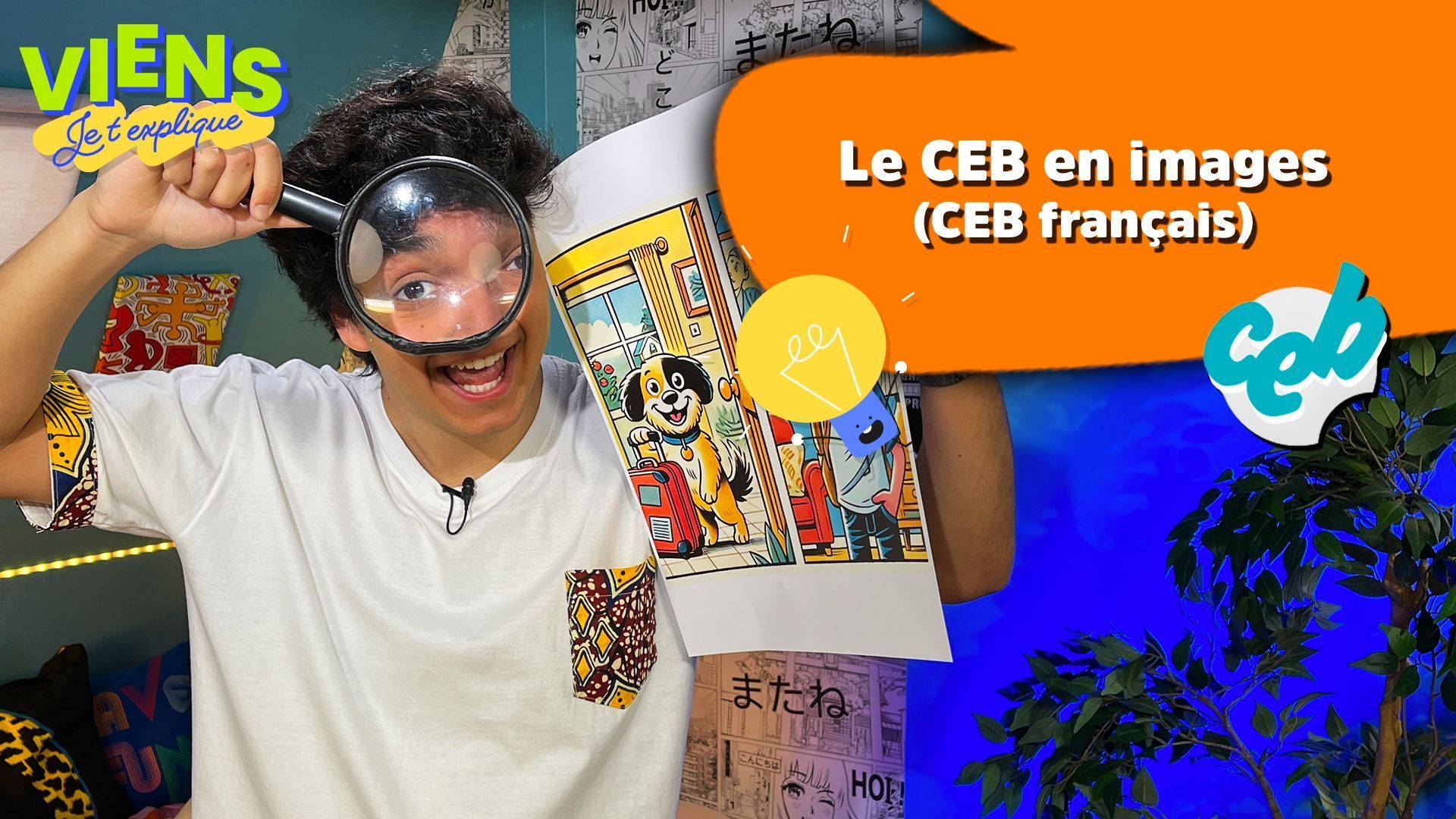CEB de français : devenez un.e pro de la grammaire, l'orthographe et la ...