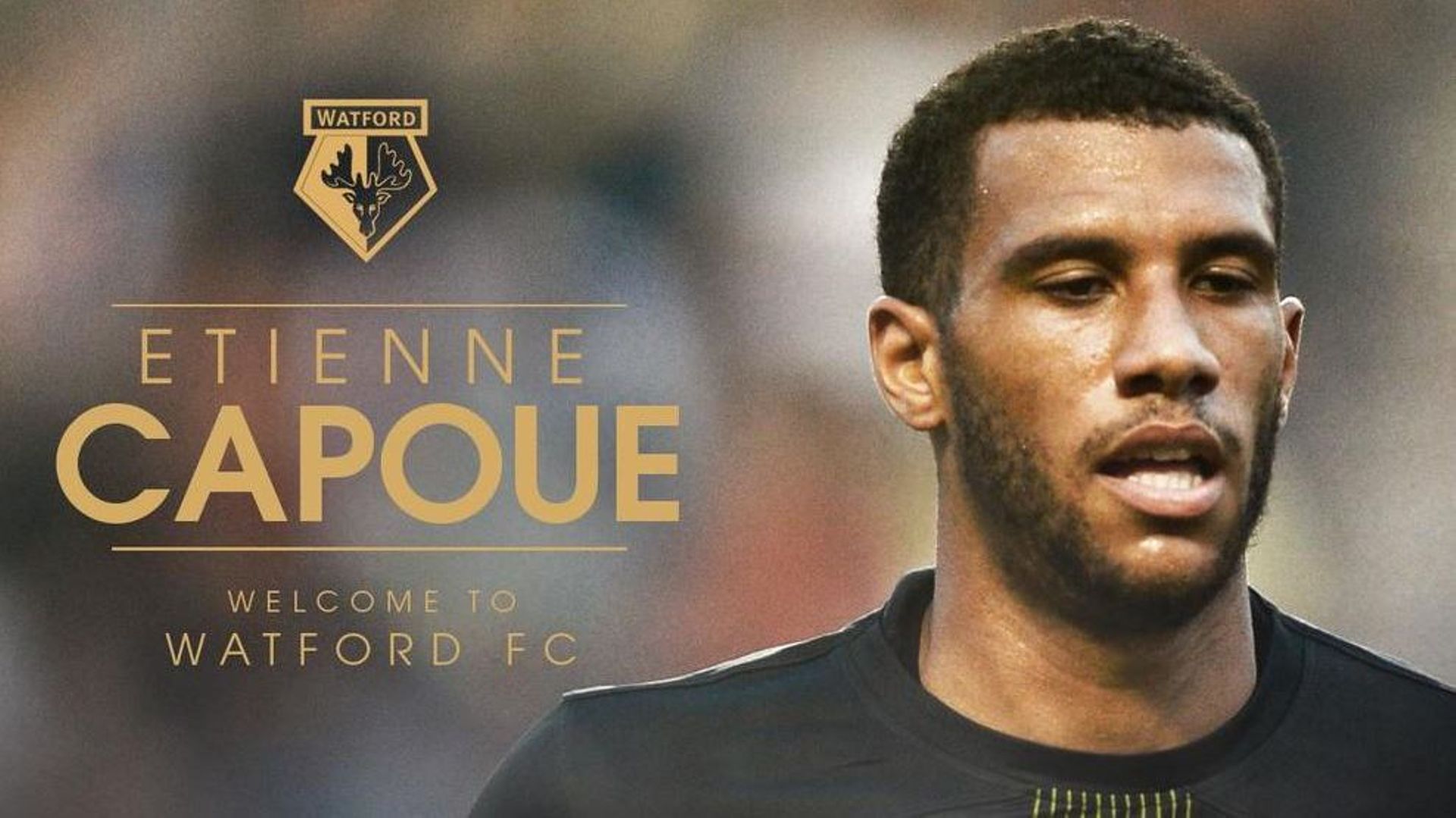 Etienne Capoue de Tottenham à Watford pour 8 millions - rtbf.be