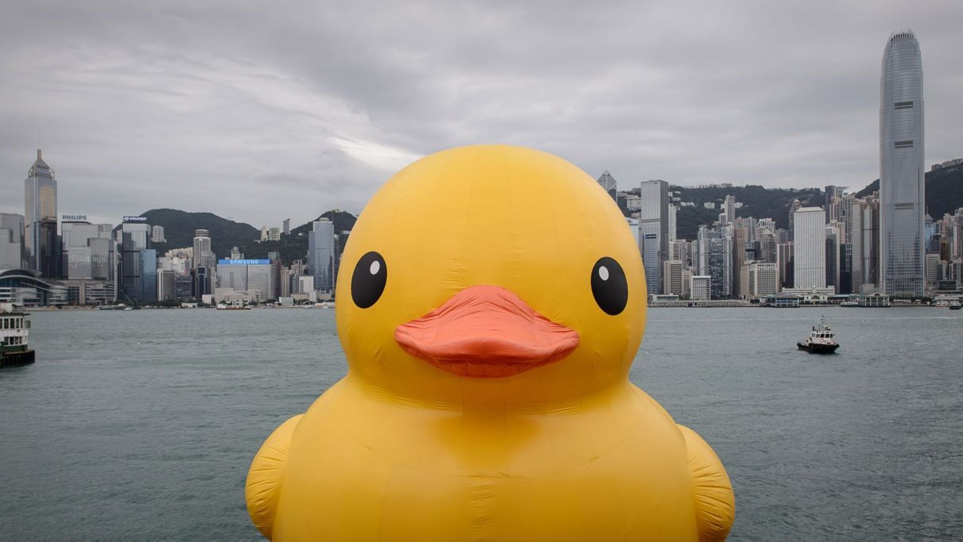 Hong Kong fait ses adieux à son gros canard jaune avant sa migration ...