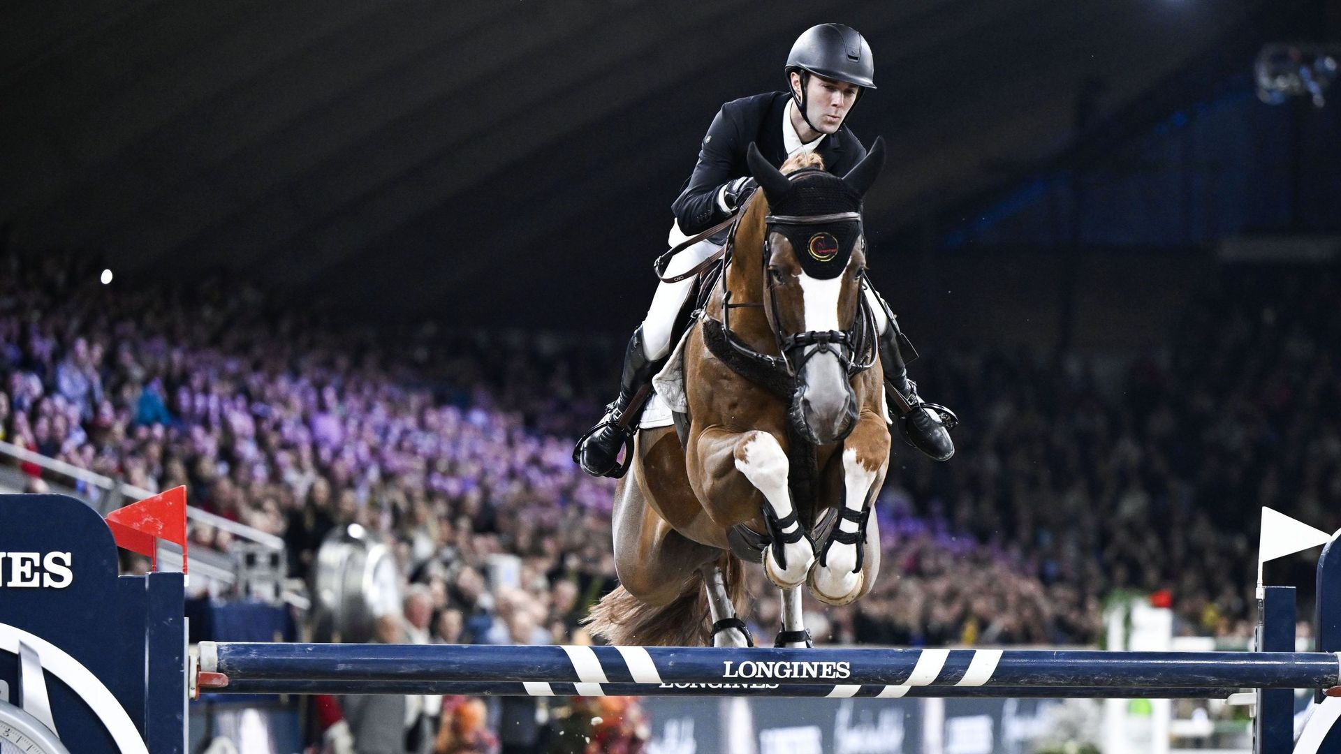 Championnats d’Europe de jumping : Gilles Thomas remporte la médaille ...