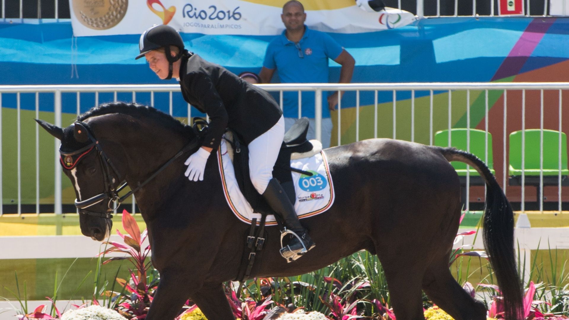 Barbara Minecci, 12e et Eveline Van Looveren, 17e en dressage, la ...