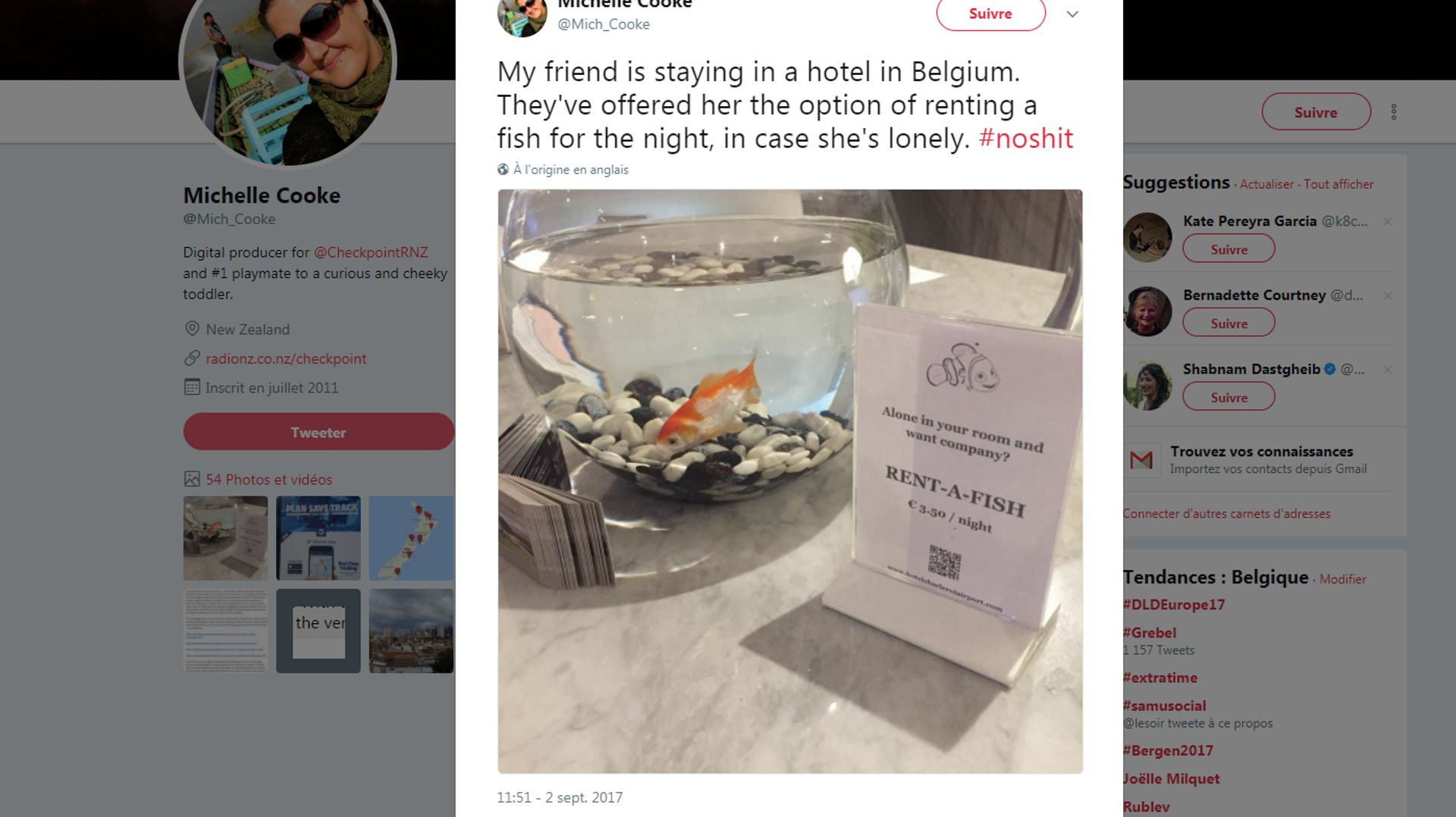 Louer un poisson rouge 'pour avoir de la compagnie': l'idée d'un hôtel ...