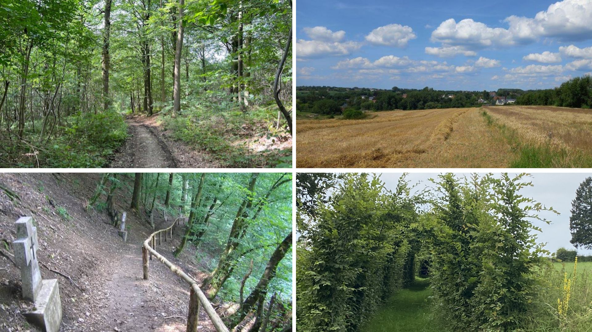 Les 12 marches Adeps du dimanche 28 juillet en Wallonie - RTBF Actus