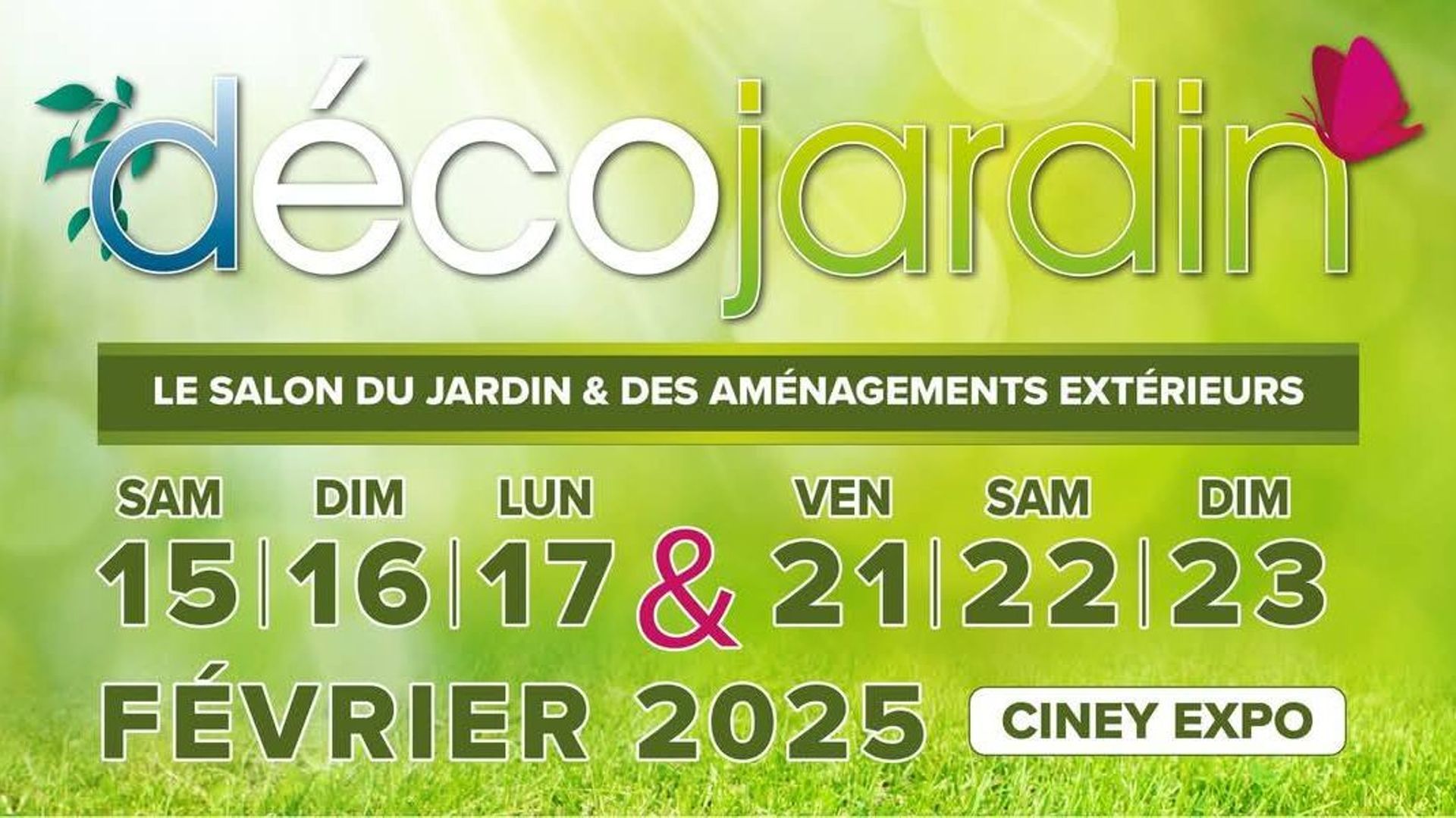 Les activités du week-end du 21 au 23 février en Wallonie et à ...