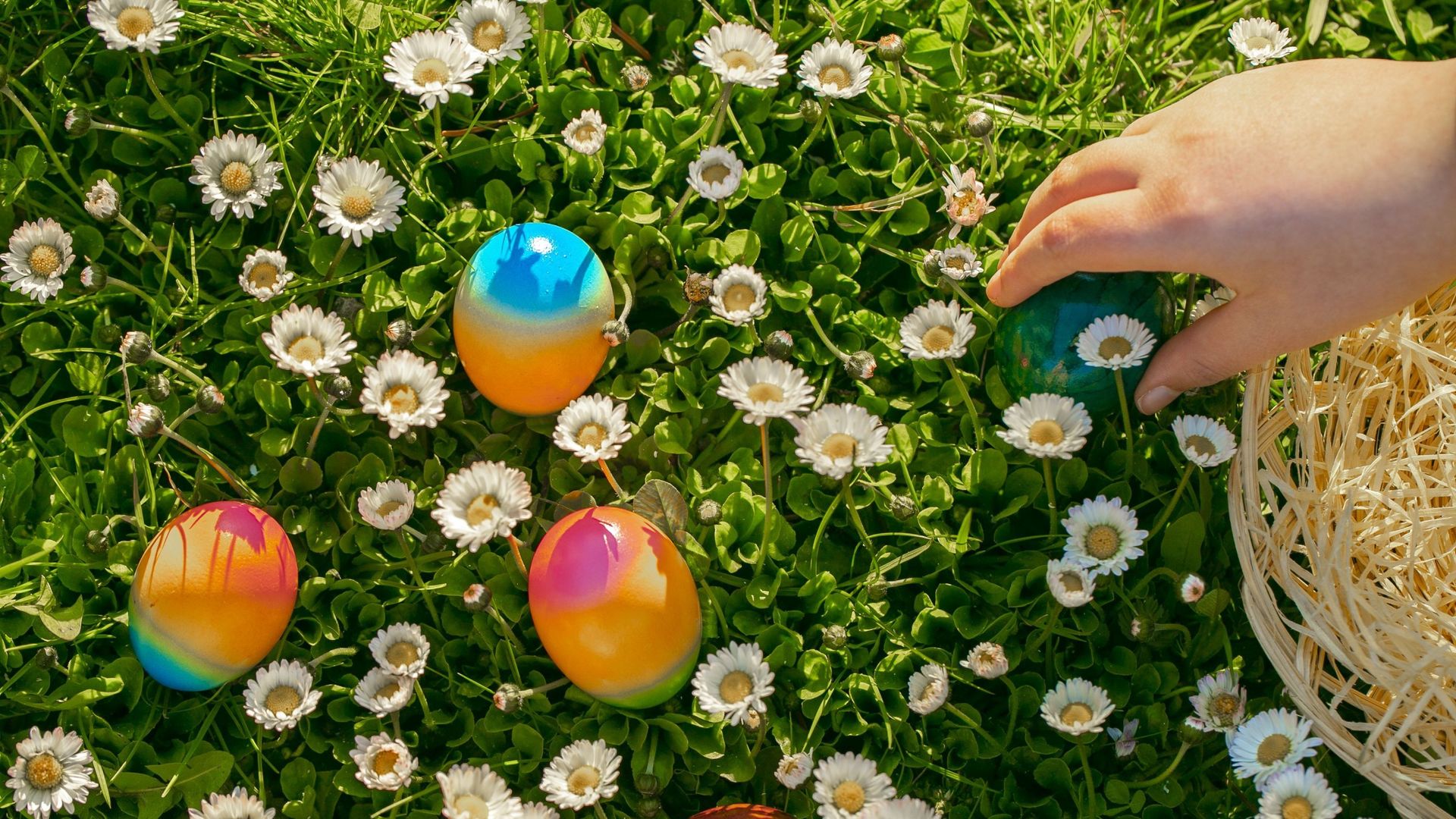 Découvrez les chasses aux œufs pour enfants ou adaptées aux adultes ...
