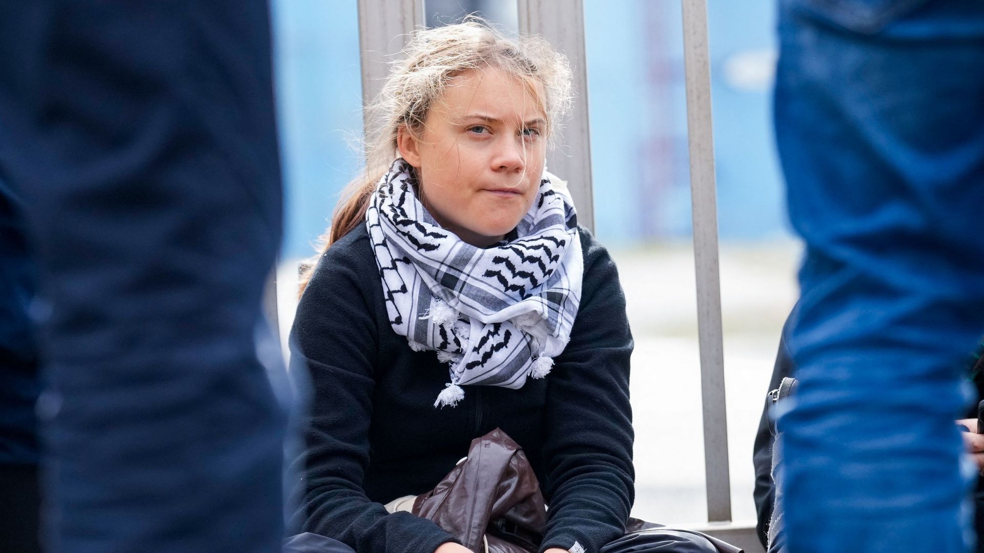 Guerre Israël-Gaza : Greta Thunberg arrêtée au Danemark lors d’une action pro-palestinienne ...