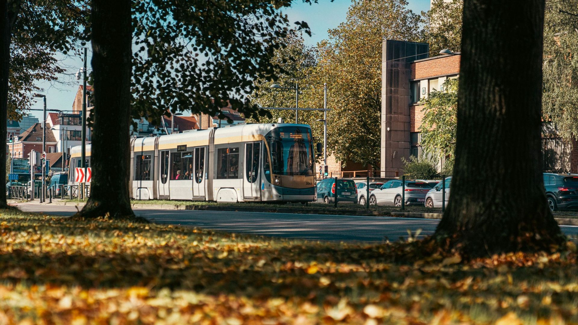 Laeken : un dépôt de trams va nécessiter l'abattage d'environ 200 ...