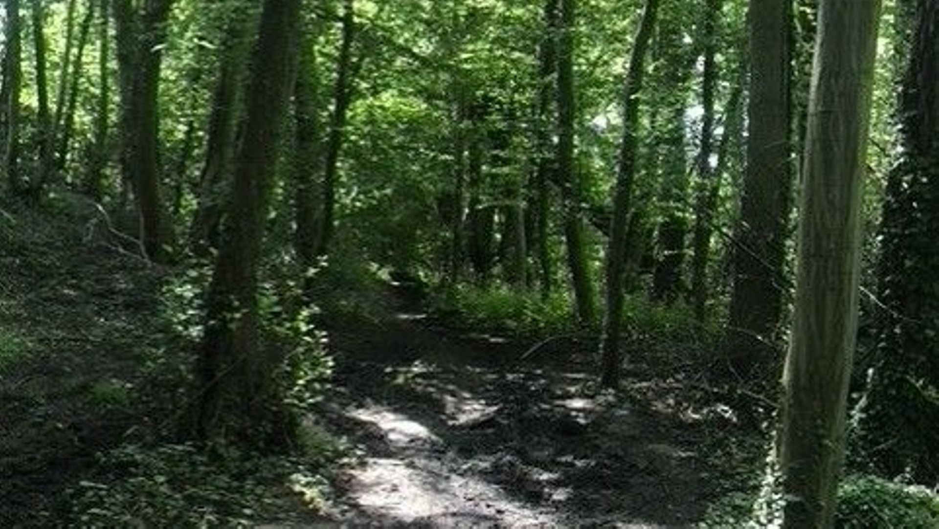 Les 11 marches Adeps du dimanche 9 juin en Wallonie - RTBF Actus