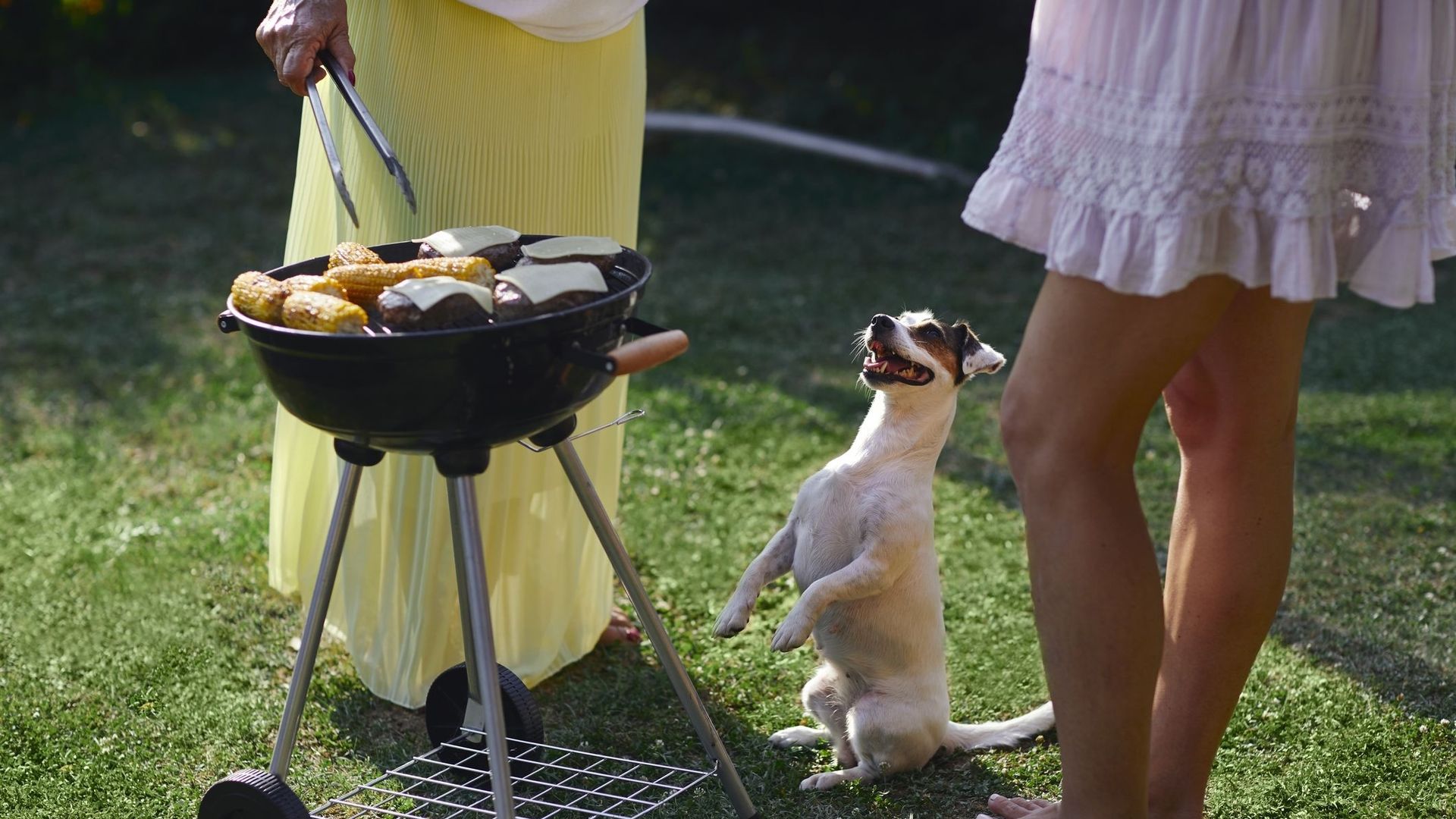 Gedinne fait flamber les grilles : la 2e édition du championnat wallon de barbecue est de retour ...