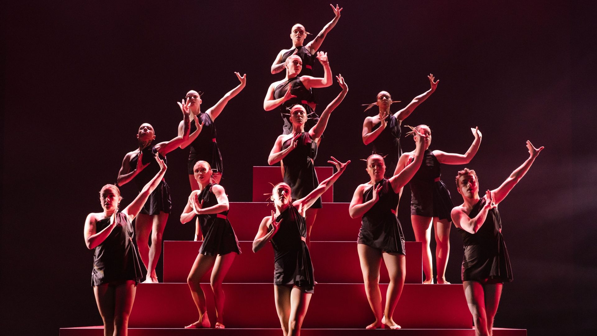 The Dancer : Laura, la prodige namuroise, impressionne malgré son ...