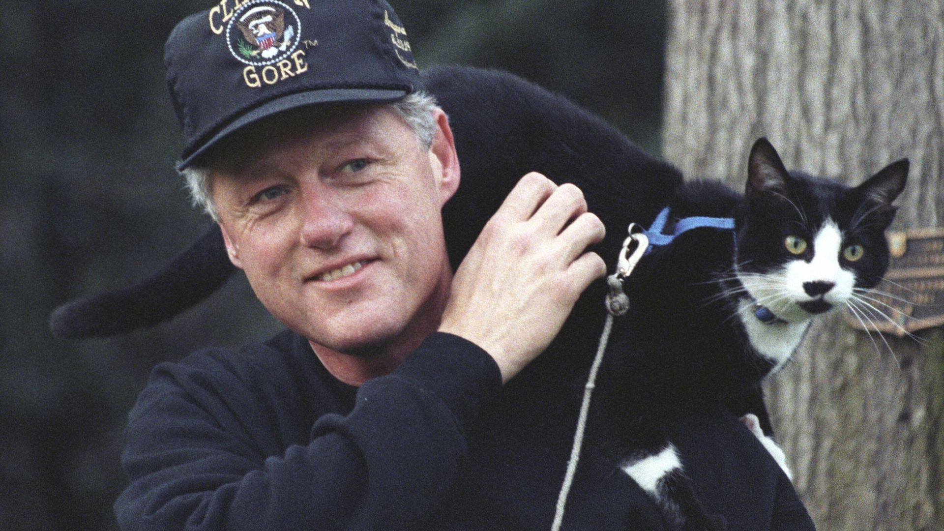 Trois conseils pour accueillir un poisson rouge - RTBF Actus