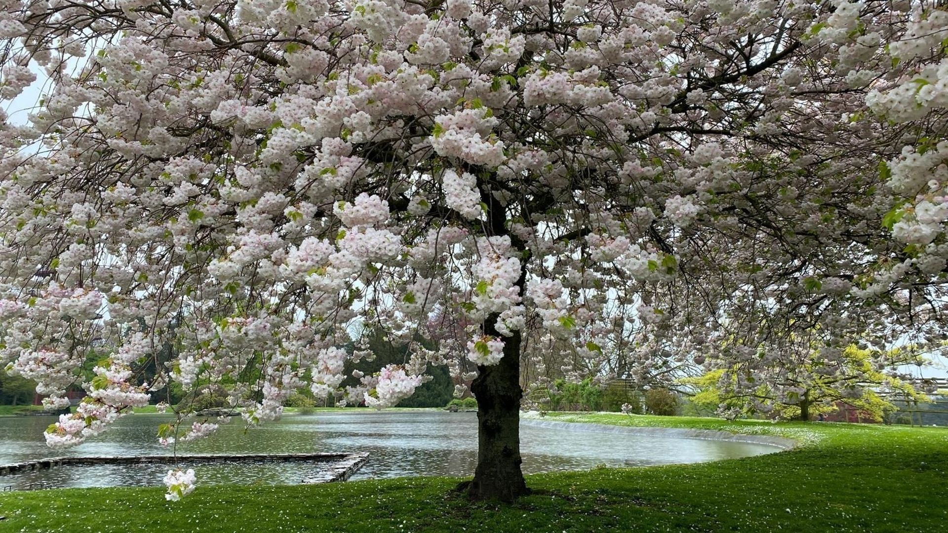 Jessica Riga découvre les secrets de la 'vraie' fraise de Wépion - RTBF ...