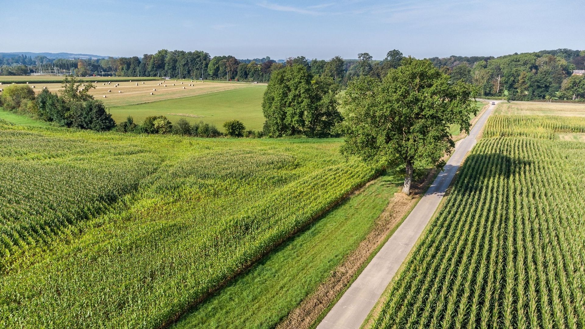 Découvrez les marches Adeps organisées ce 1er mai en Wallonie - RTBF Actus