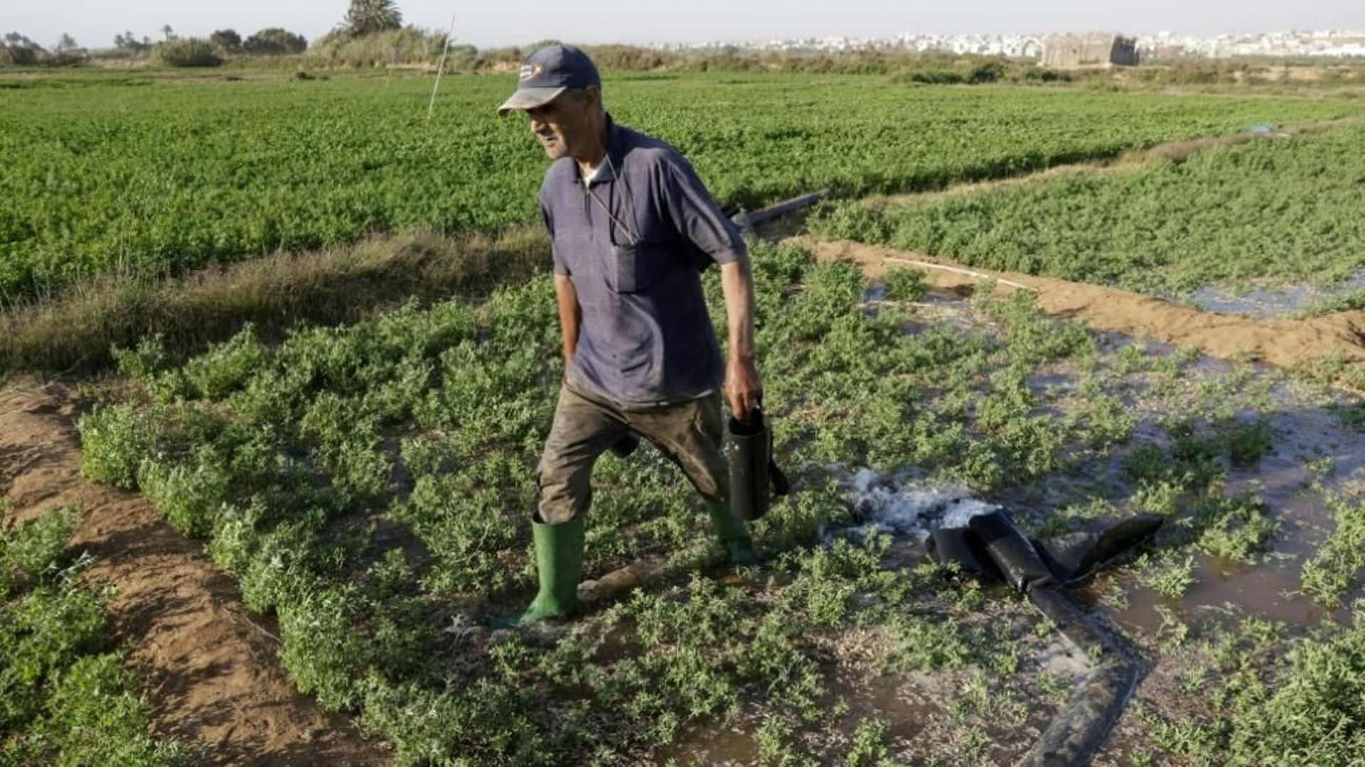 Money xnx ella was smooth to establish rapport and