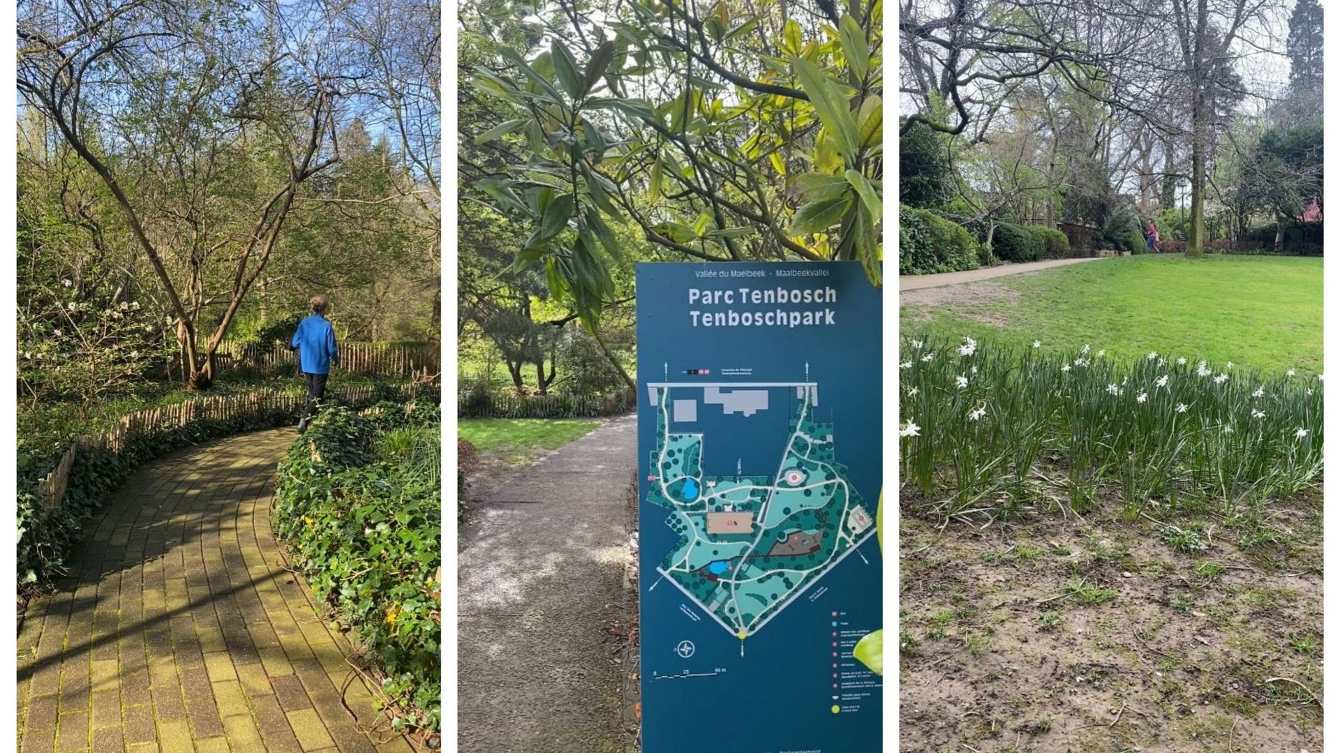 'L’un des plus beaux parcs de Bruxelles' : le parc Tenbosch à Ixelles ...