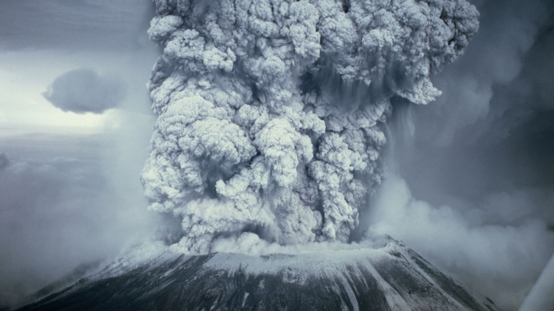 Les allergies au pollen sont de retour : 'On est partis pour une ...